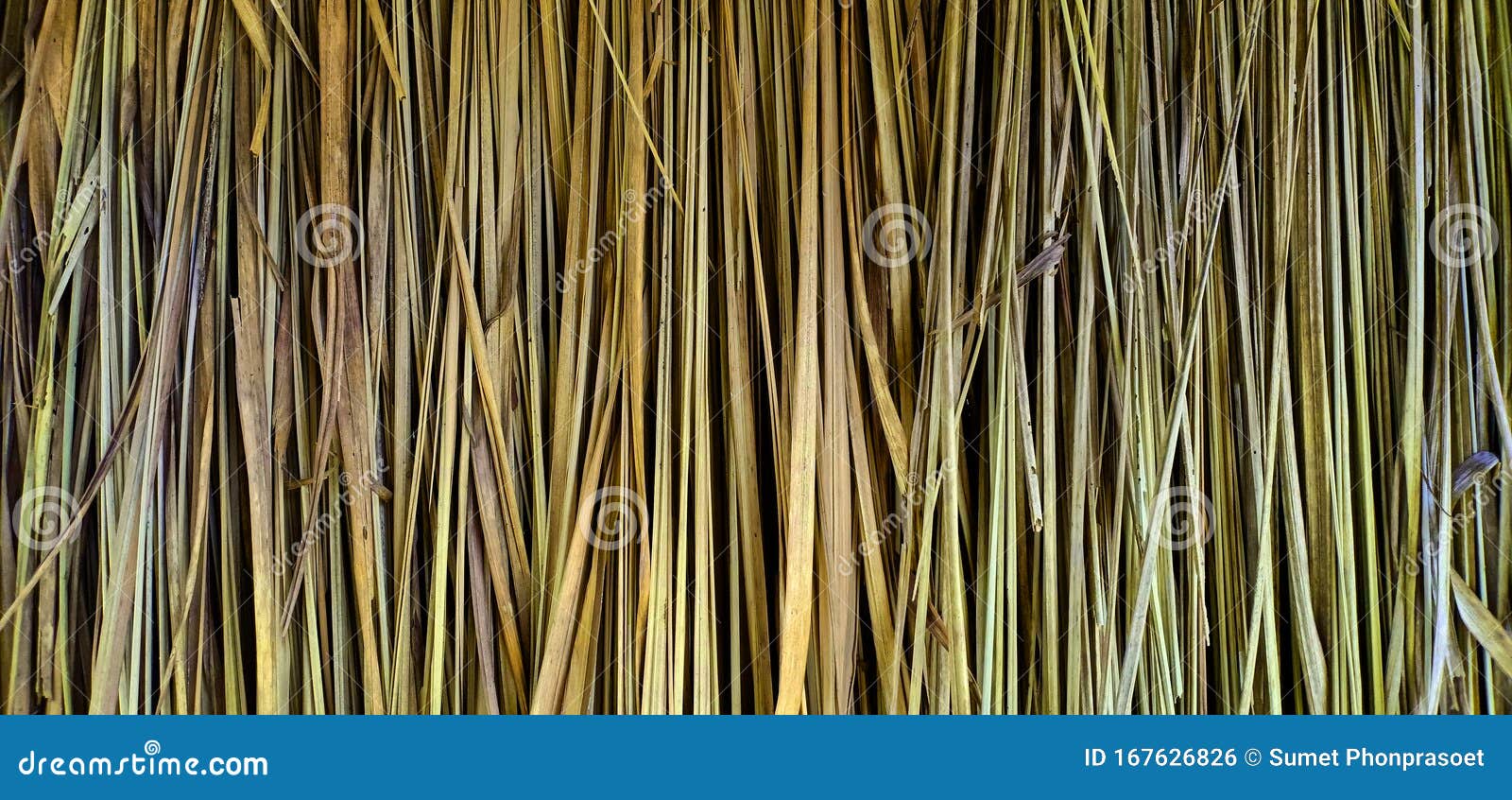 Background hay leaves stock photo. Image of cement, crack - 167626826