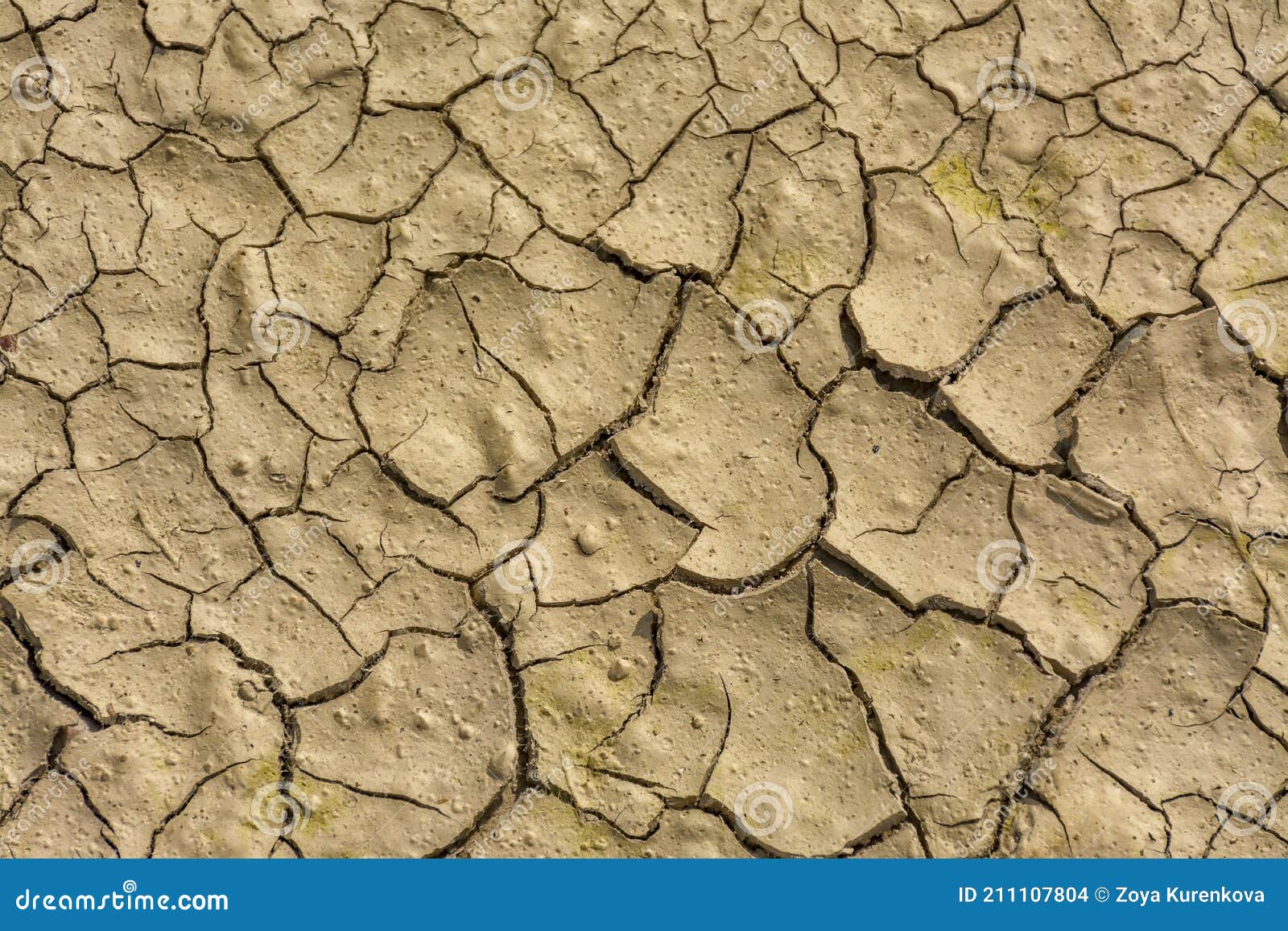 Background of Heat Cracked Clay Soil Stock Photo - Image of cracked ...