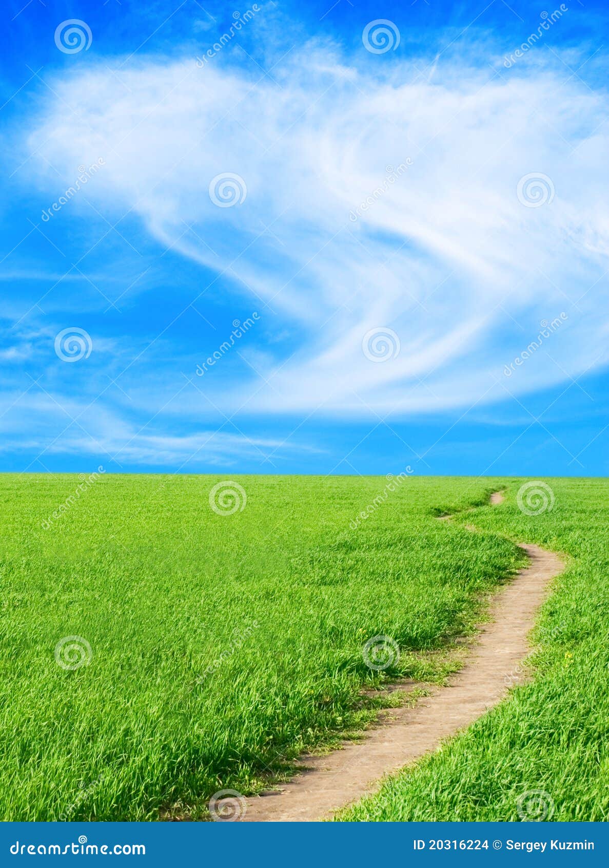 Background - a Herb, the Sky, Lane, Vertically. Stock Photo - Image of ...