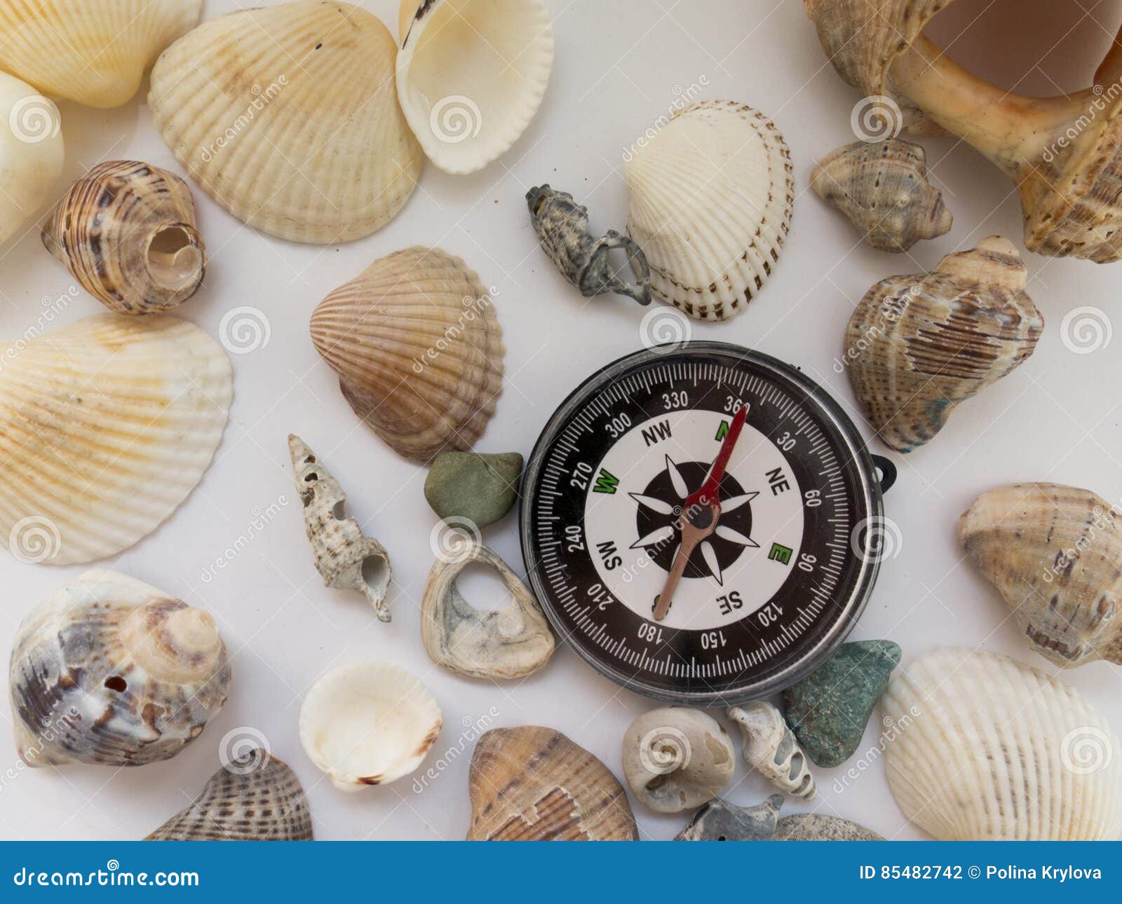 Background about the Holiday at Sea in Warm Countries with Compass and ...