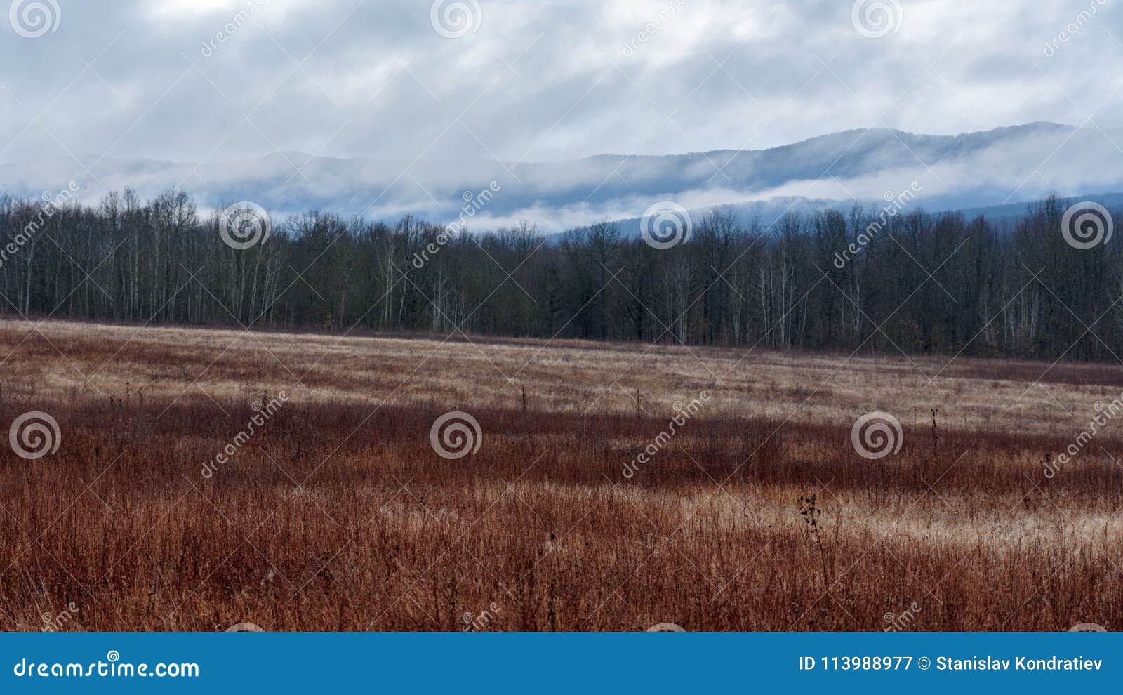 Cloudy autumn landscape stock image. Image of spooky - 113988977