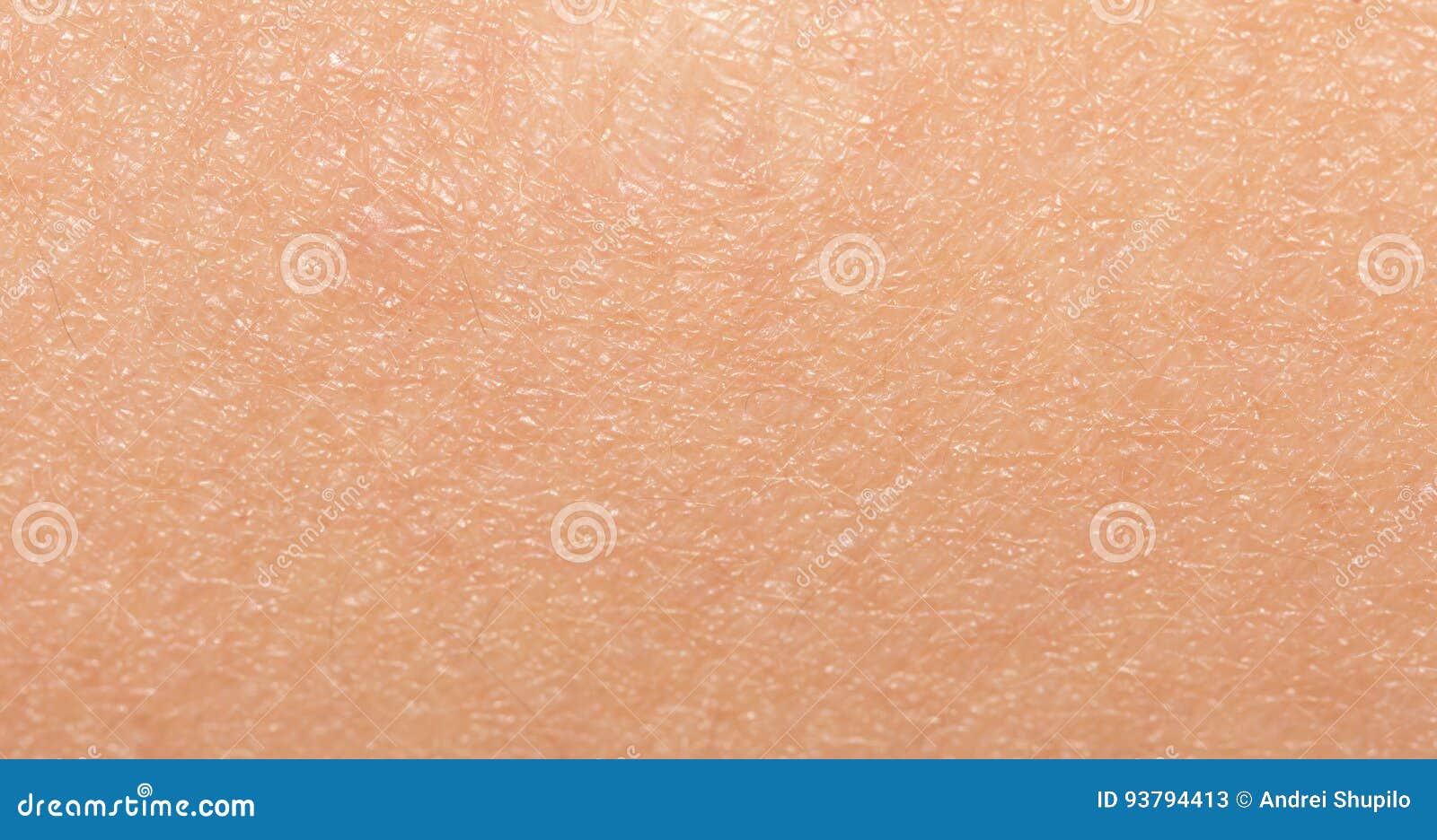 Background of the Human Skin. Macro Stock Image - Image of flat ...