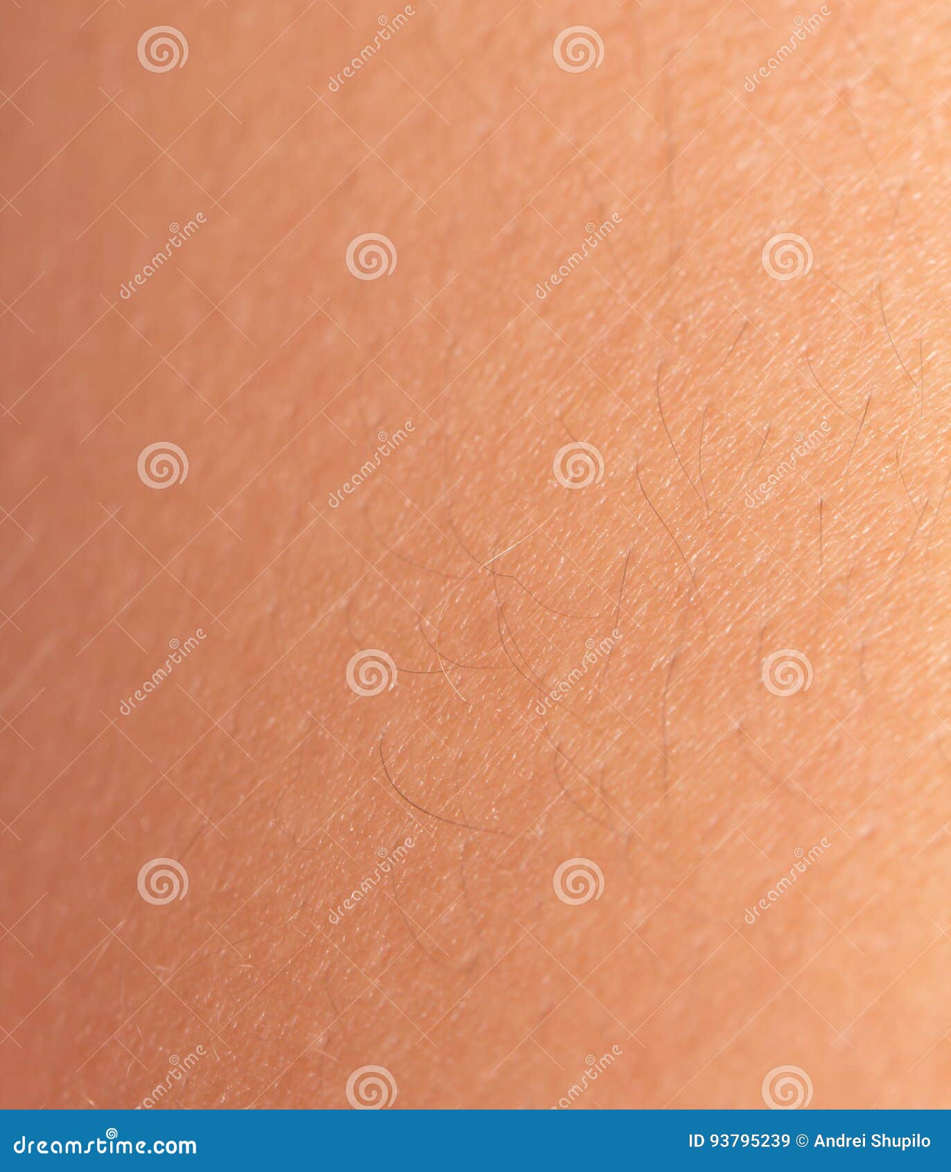 Background of the Human Skin. Macro Stock Image - Image of detailed ...