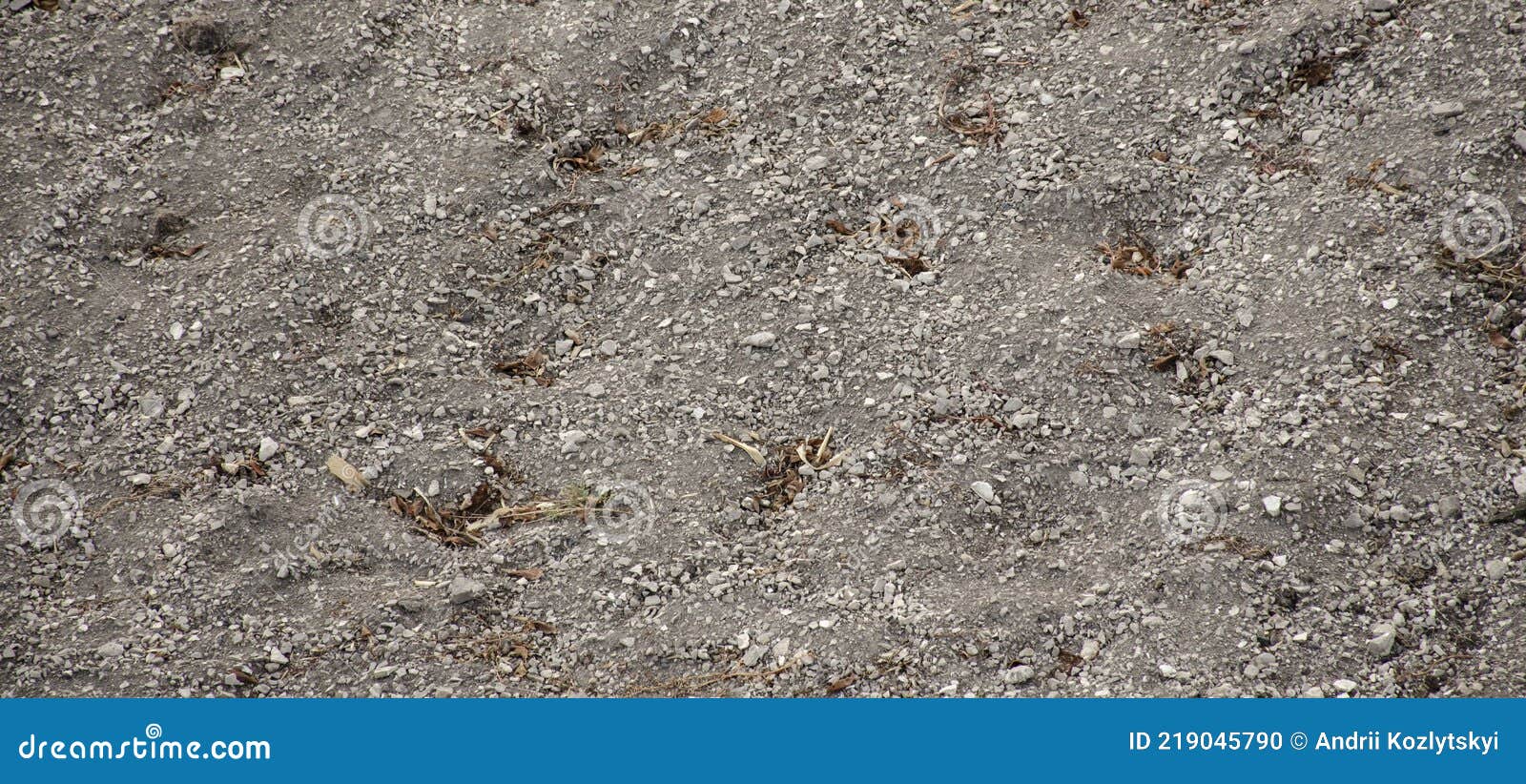 Background Image of Chalky Limestone Soil with Patterns Texture ...