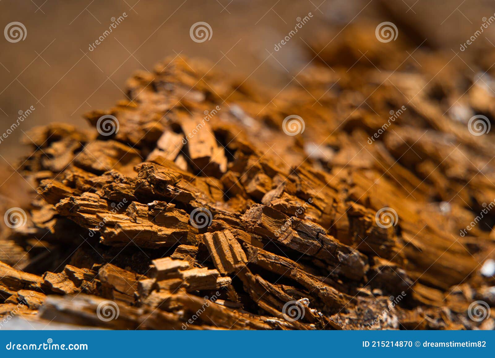 A Background Image of a Close Up of the Organic Texture of a ...