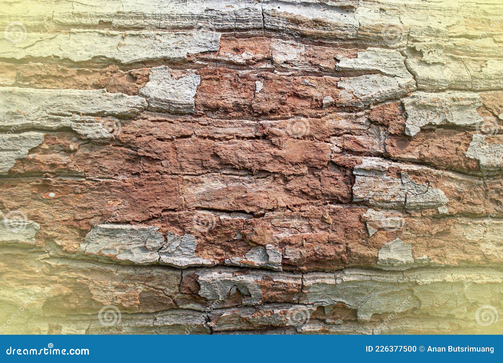 Background Image of Cut Logs Stock Photo - Image of pattern, closeup ...