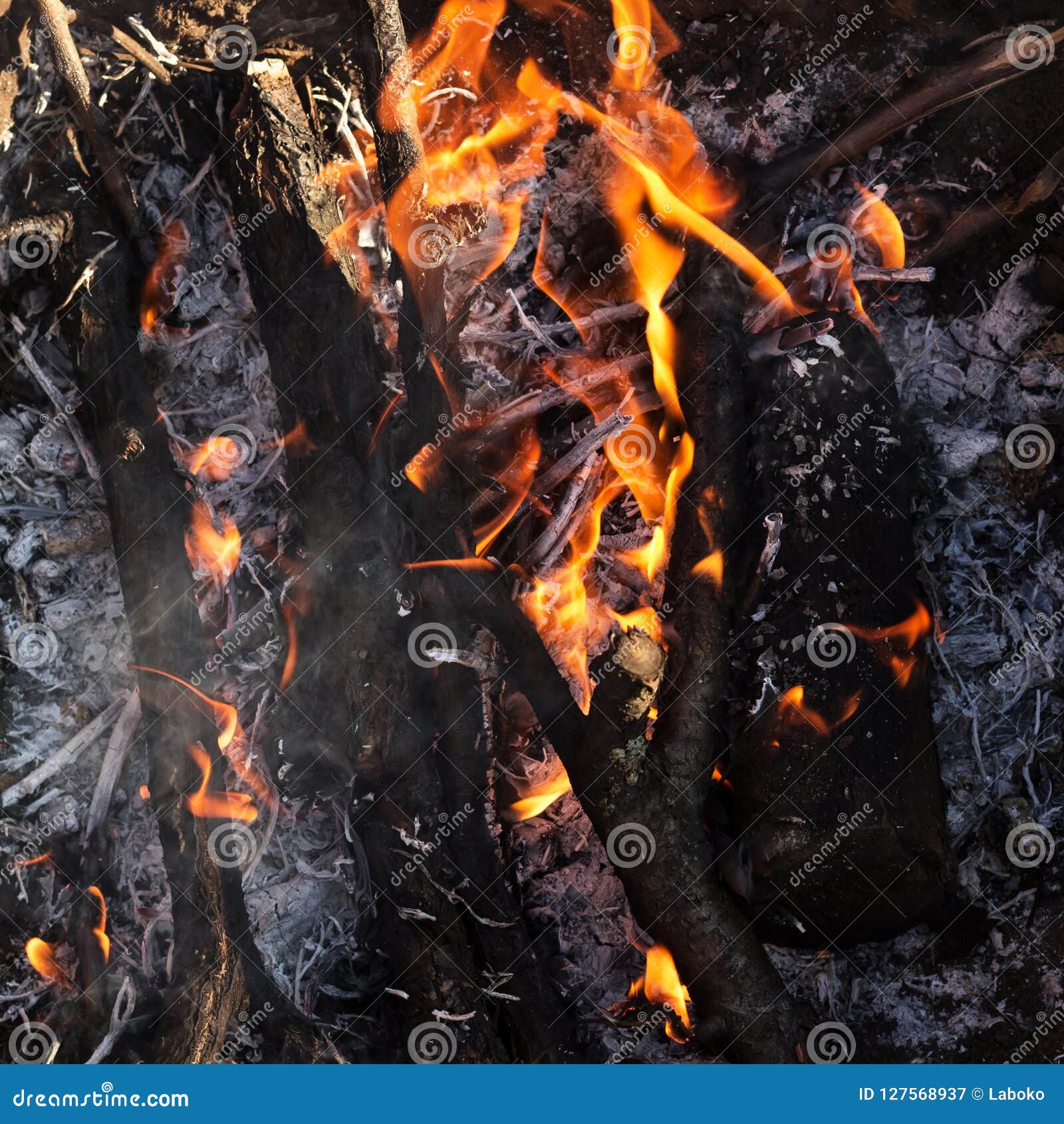 Background Image Fire. Burning Logs and Coals Stock Image - Image of ...