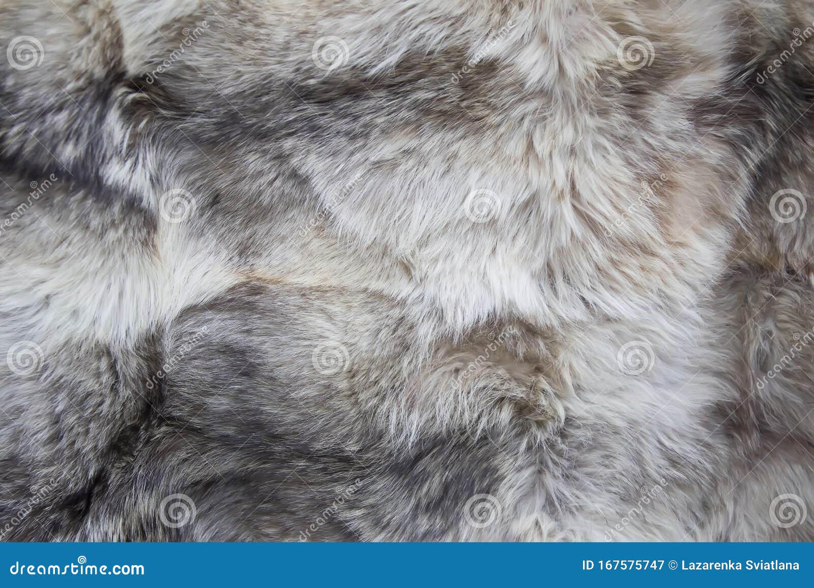 Fur texture. Natural wool stock image. Image of closeup - 167575747
