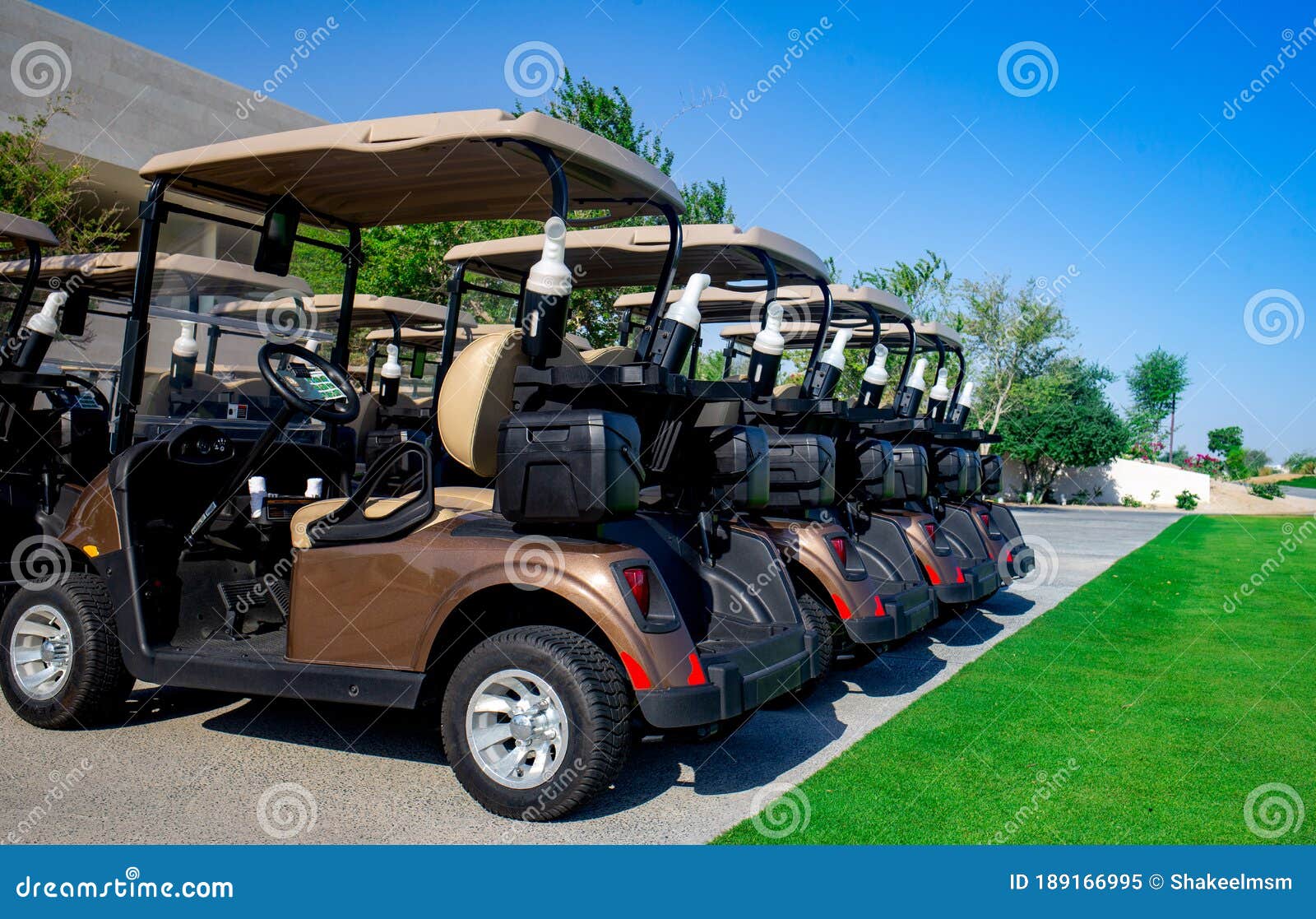 Background Image of Golf Carts Parked on a Golf Closure in a Line Stock ...