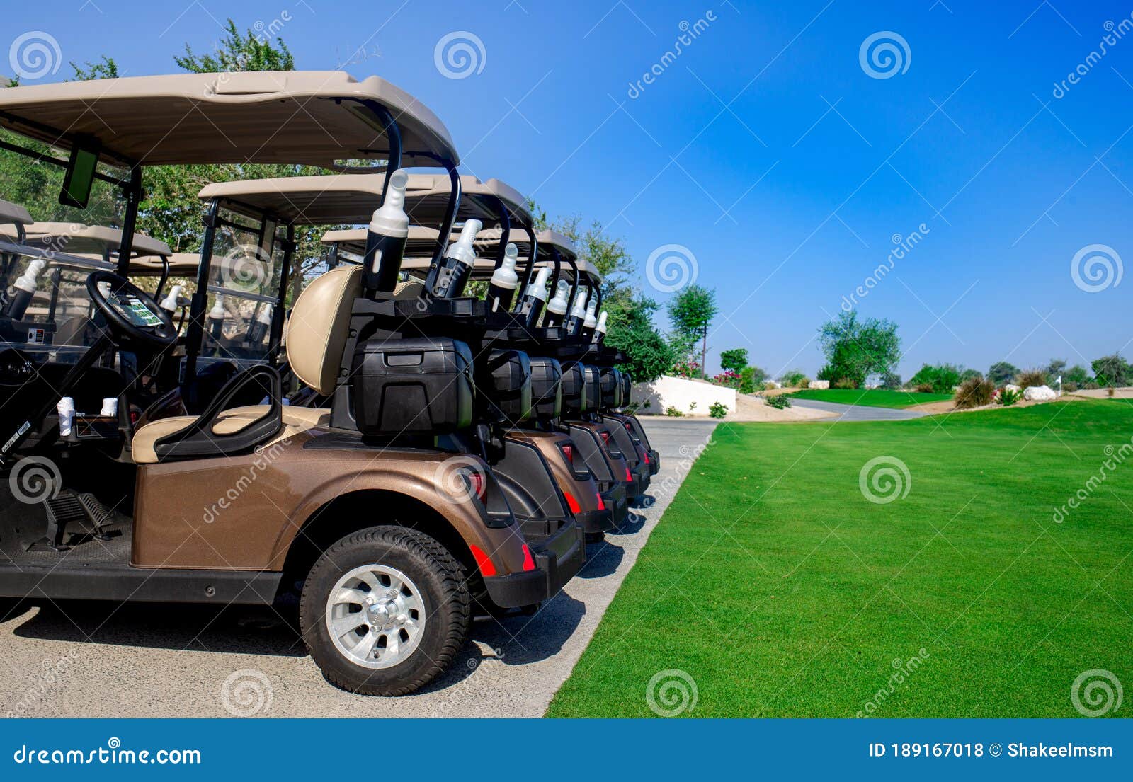 Background Image of Golf Carts Parked on a Golf Closure in a Line Stock ...