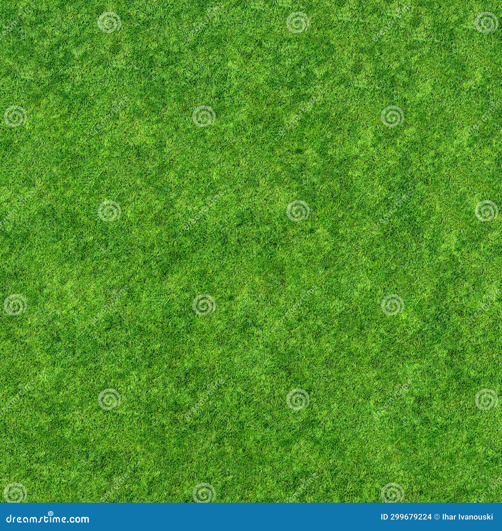 Background Image of Green Grass Close-up View from Above Stock Photo ...
