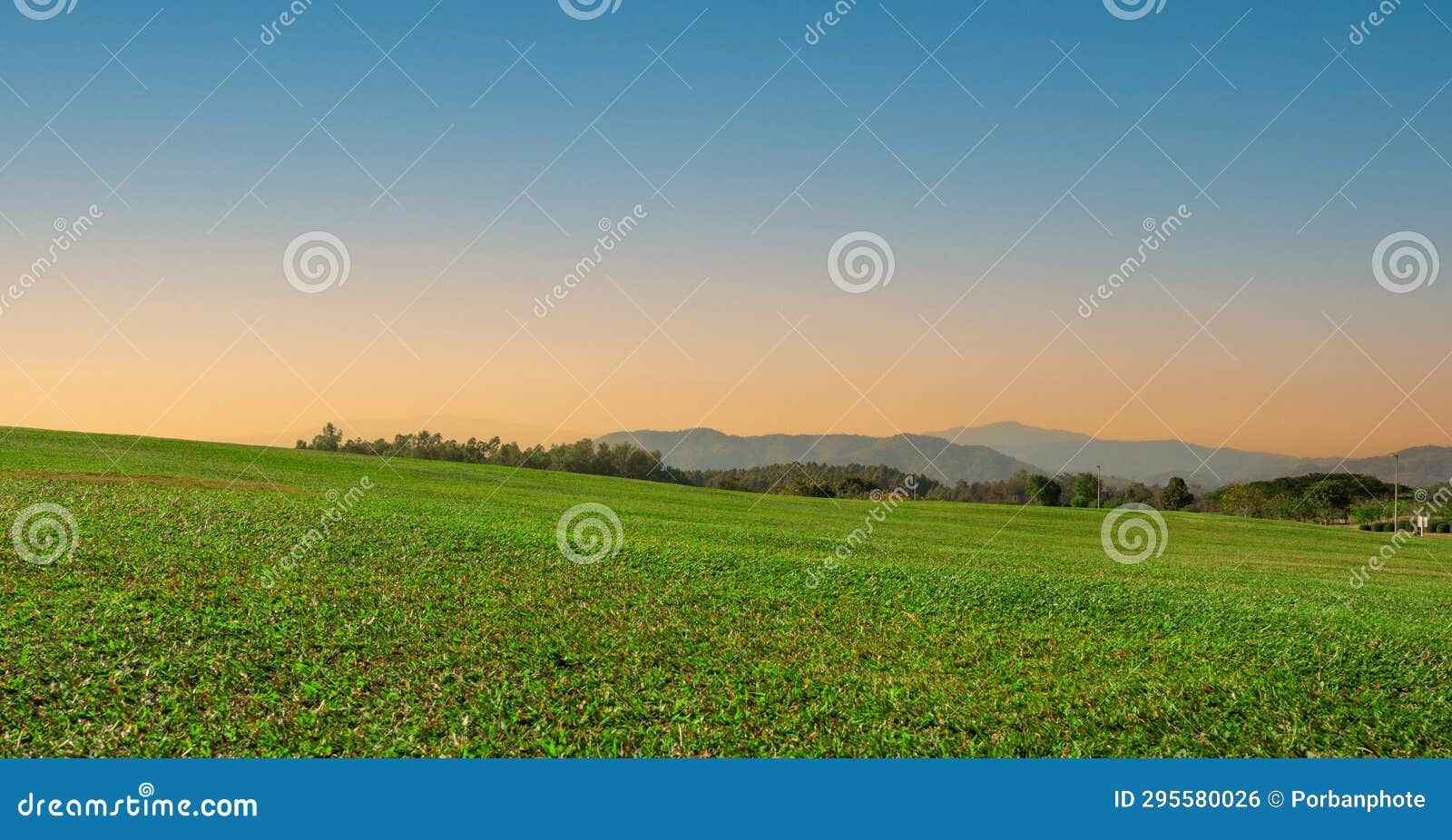 Background Image of Green Grass Field at Sunset Sky Stock Photo - Image ...