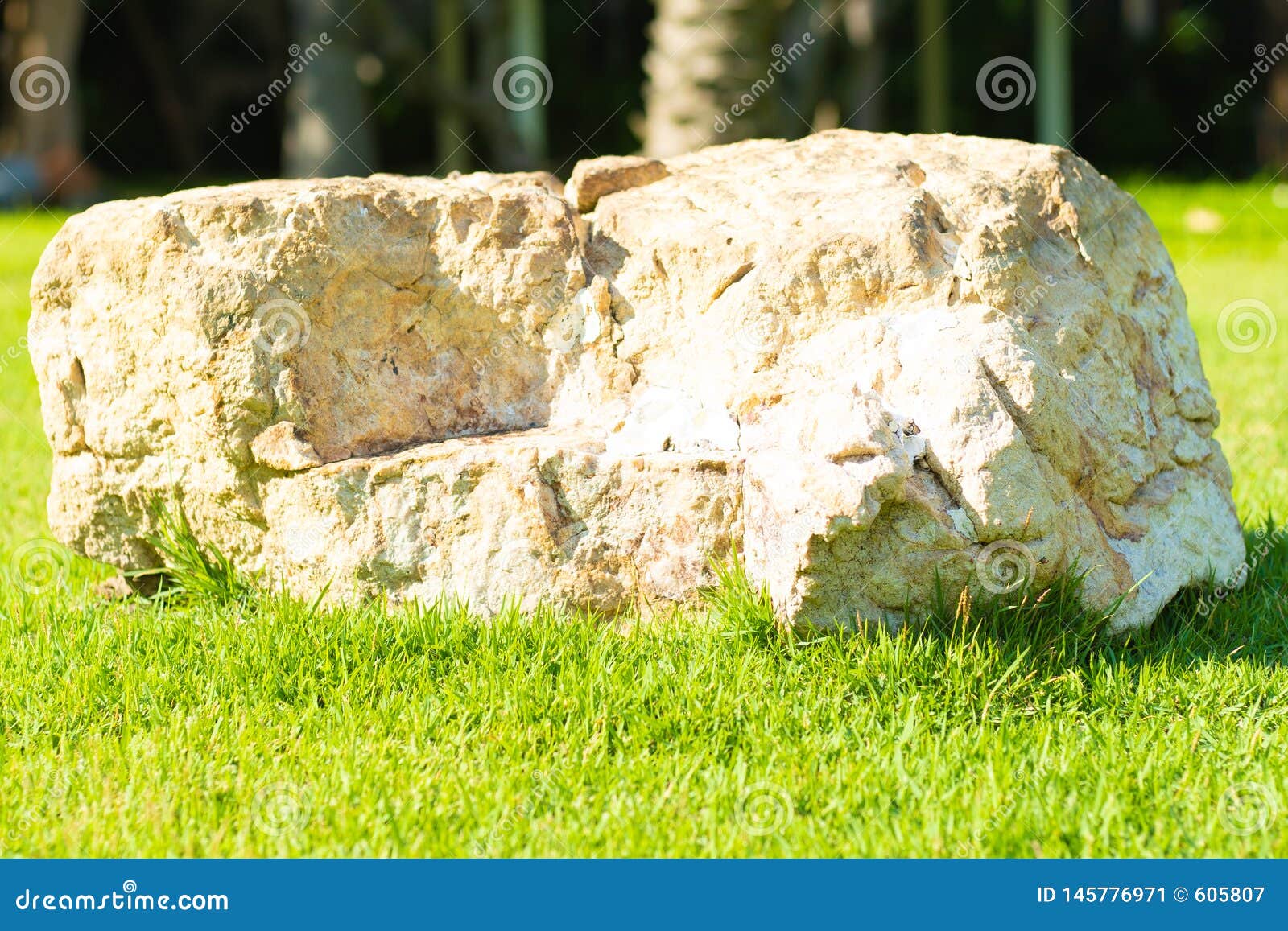 Background Image Large Stone on Green Grass, Copy Space. Stock Image ...