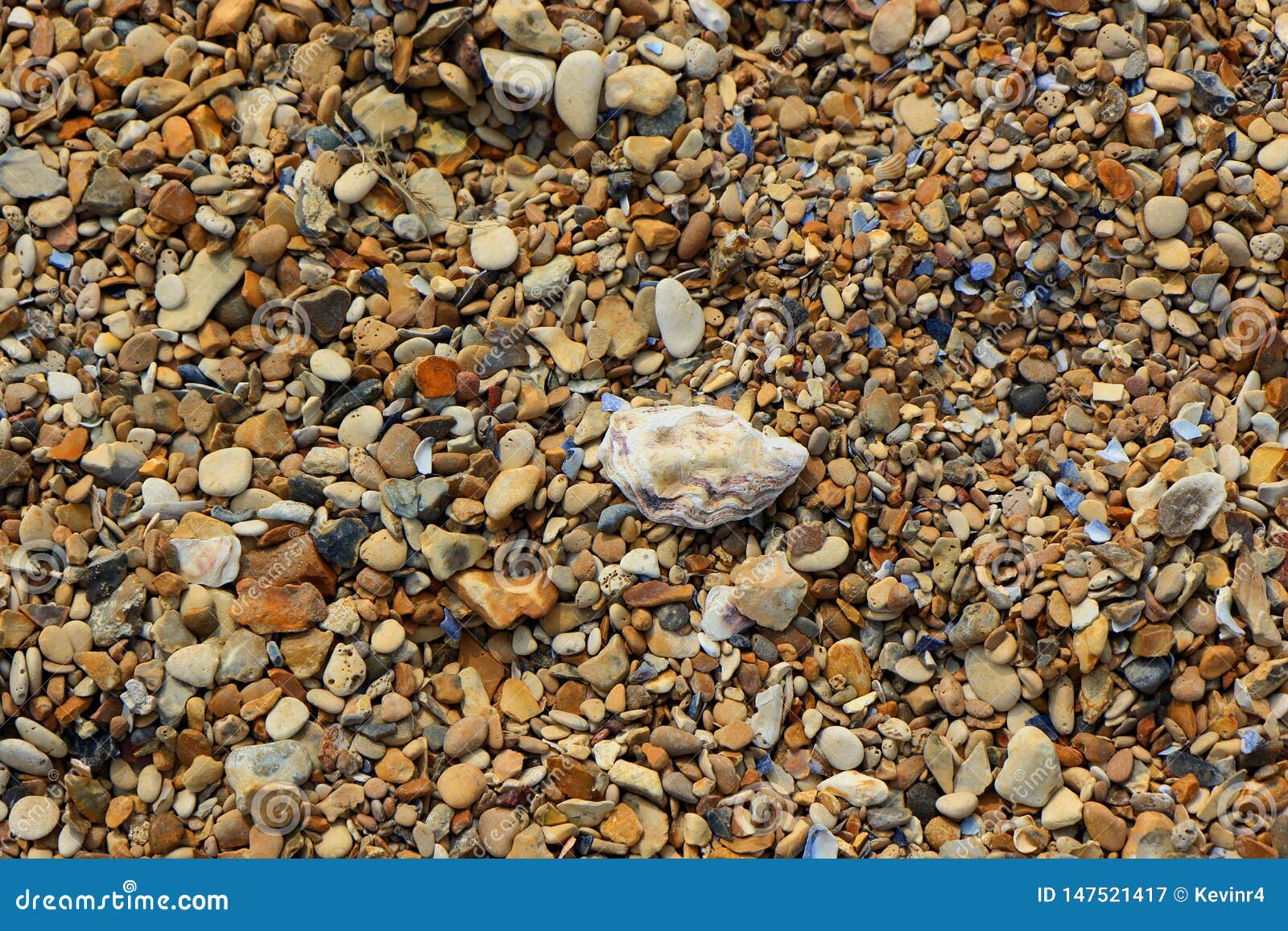 Background Image with a Pebbled Beach and Old Shells Stock Image ...
