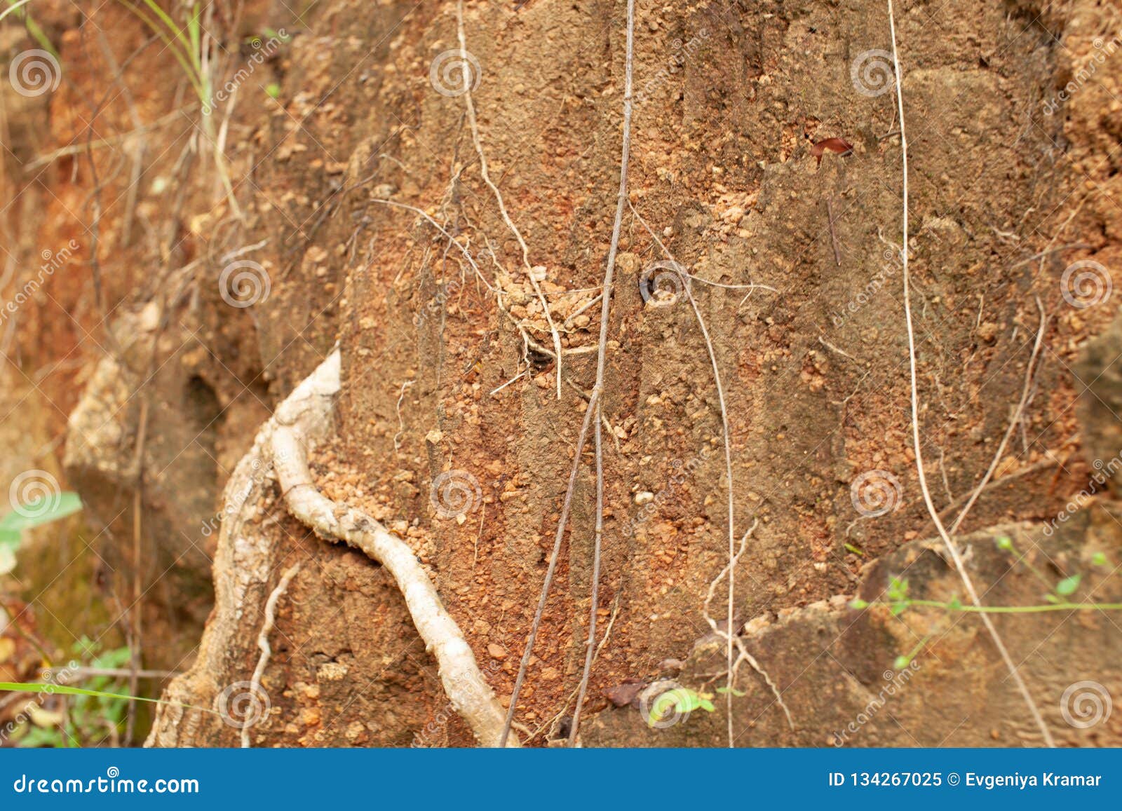 Background Image of Red Clay Soil Stock Image - Image of environment ...