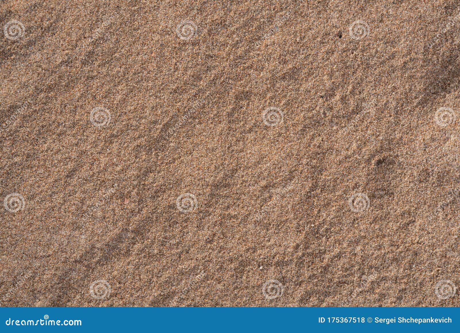 Background Image of a Sandy Beach Texture Stock Photo - Image of beach ...