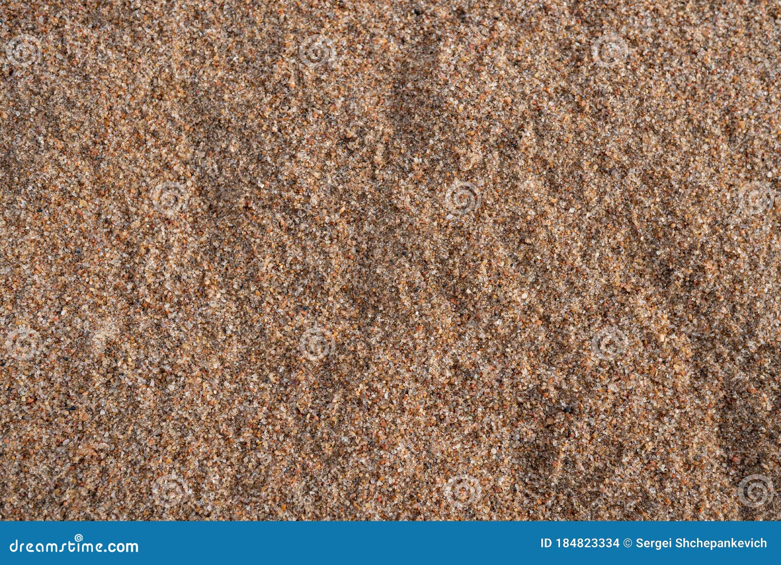 Background Image of a Sandy Beach Texture Stock Photo - Image of copy ...