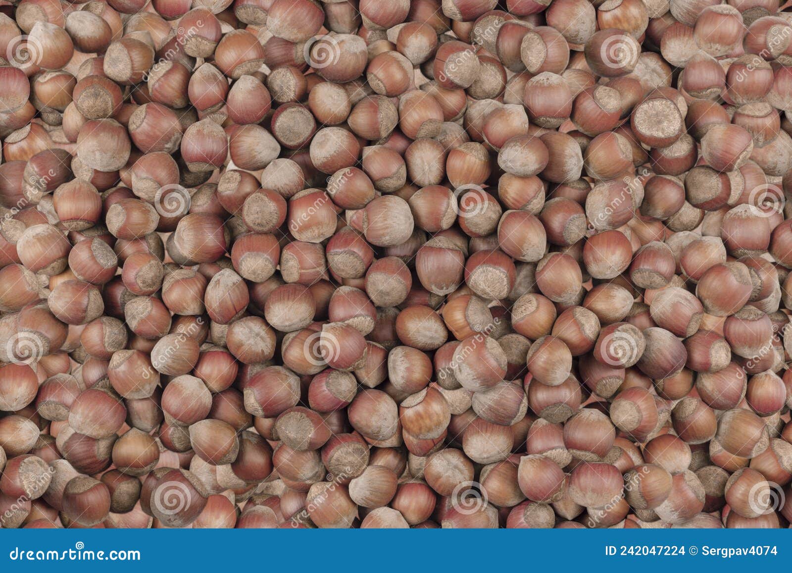Background Image: Scattered Nuts Hazelnuts Stock Photo - Image of ...