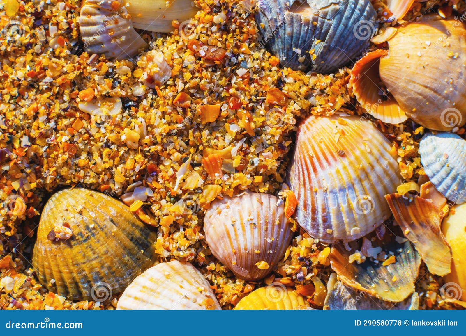 Background Image of Sea Sand, Fine Beach Sand and Shells. Sunset or ...