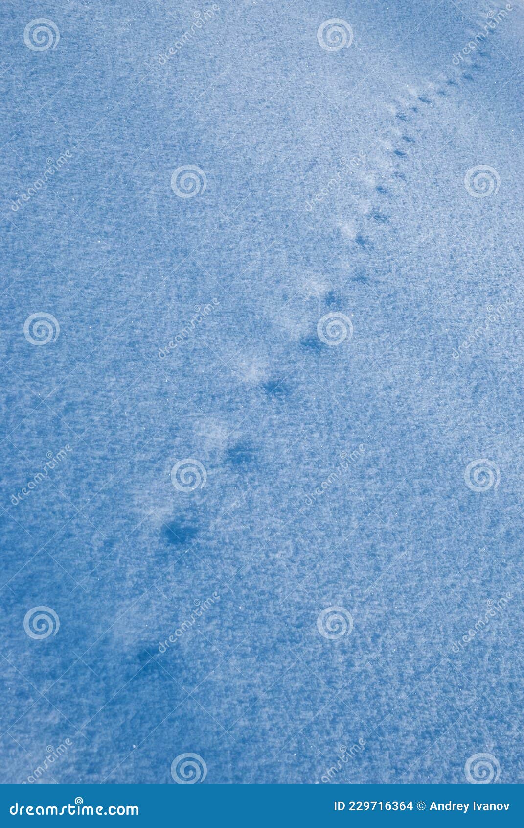 Background Image with Snow Texture. Footprints in the Snow. Stock Photo ...