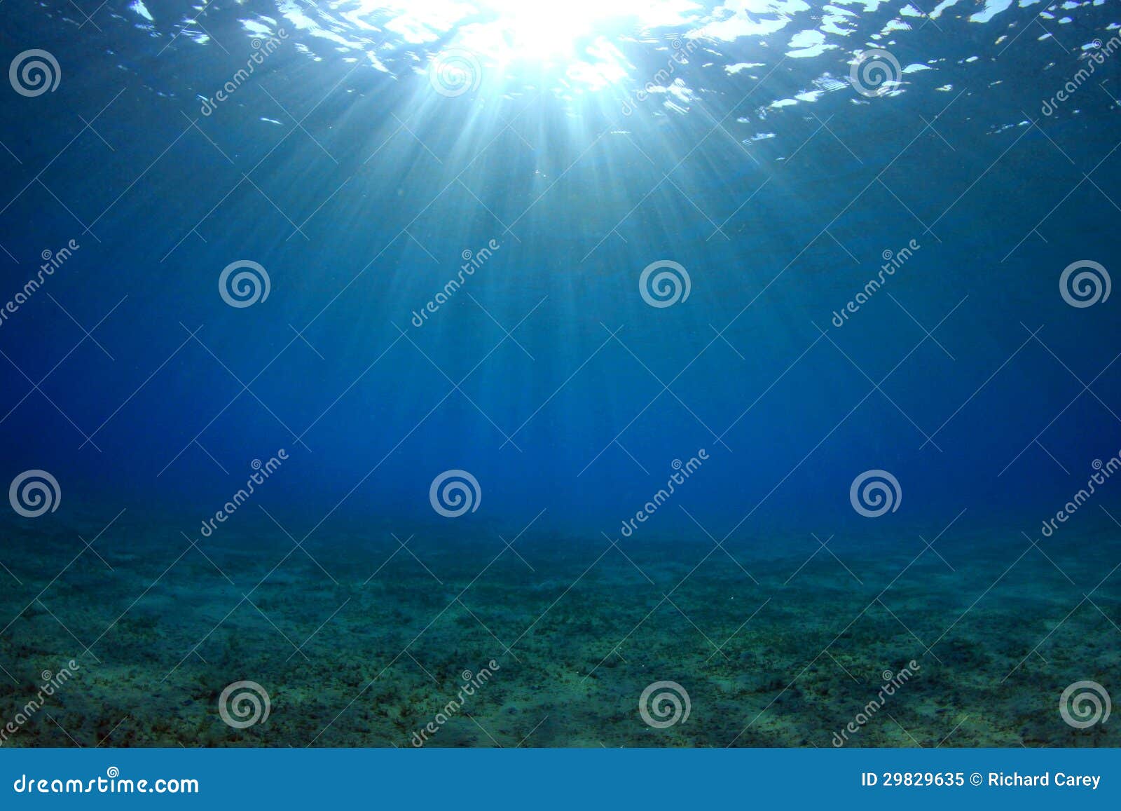 Underwater Background stock image. Image of underwater - 29829635