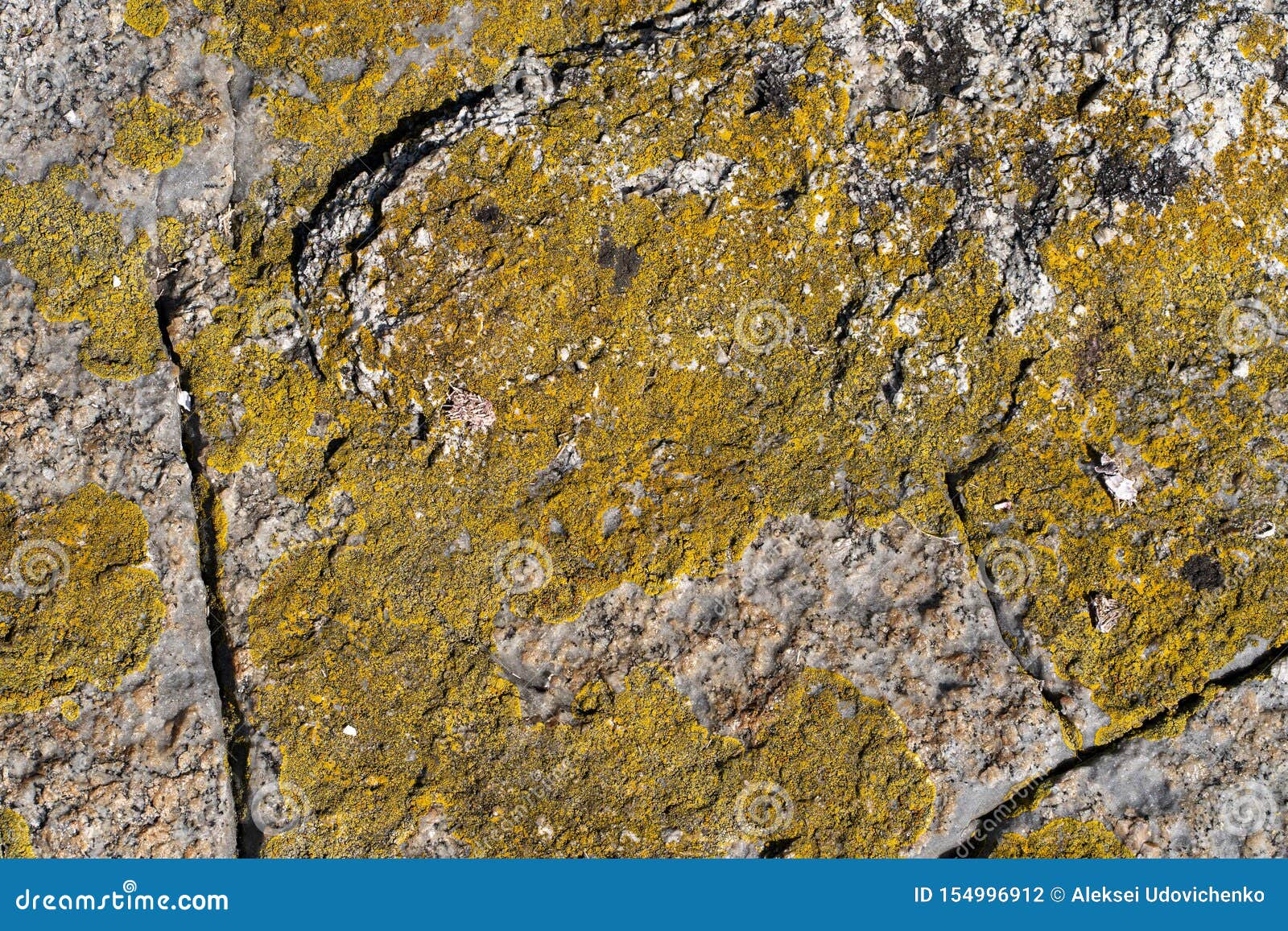 Background Image. Texture of Natural Marble Stone with Lichen Pattern ...