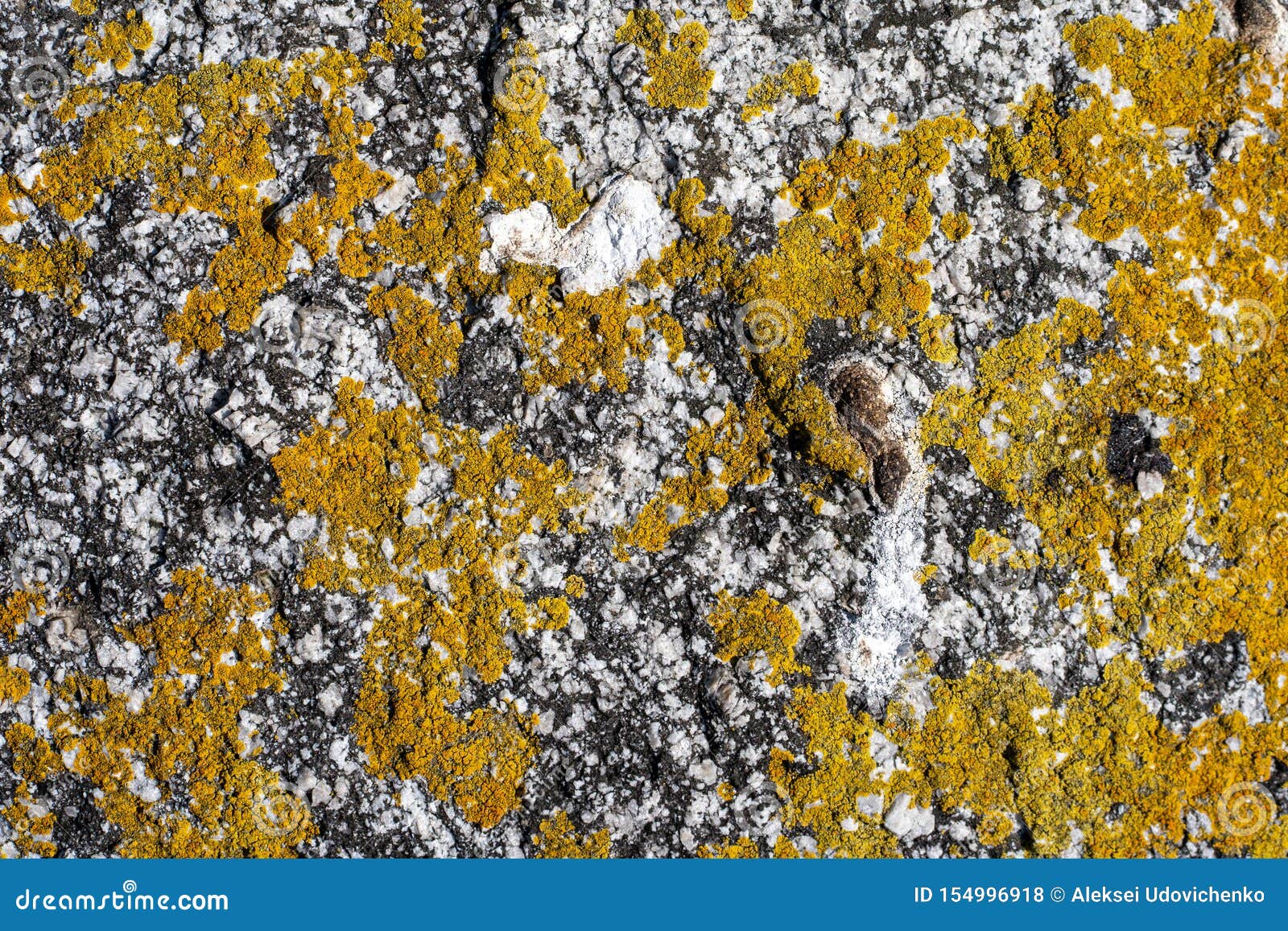 Background Image. Texture of Natural Marble Stone with Lichen Pattern ...