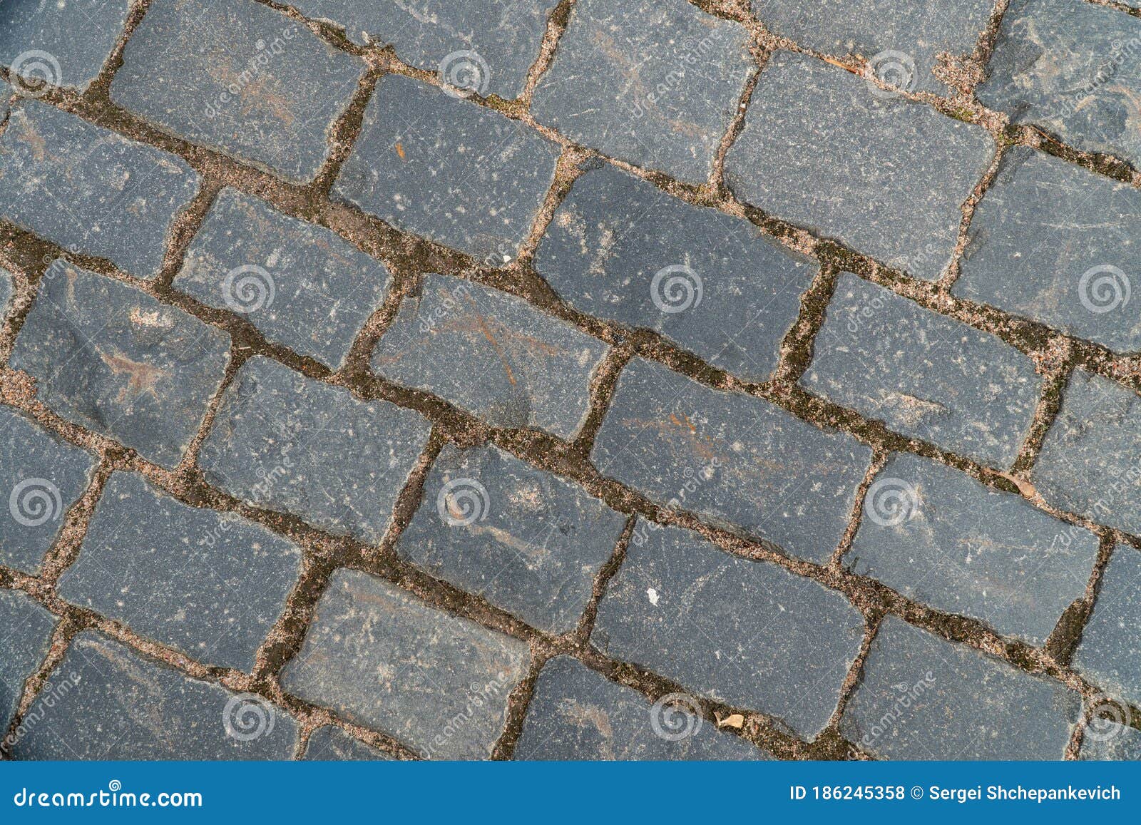 Texture Of A Pedestrian Crossing Across The Road. Background For ...