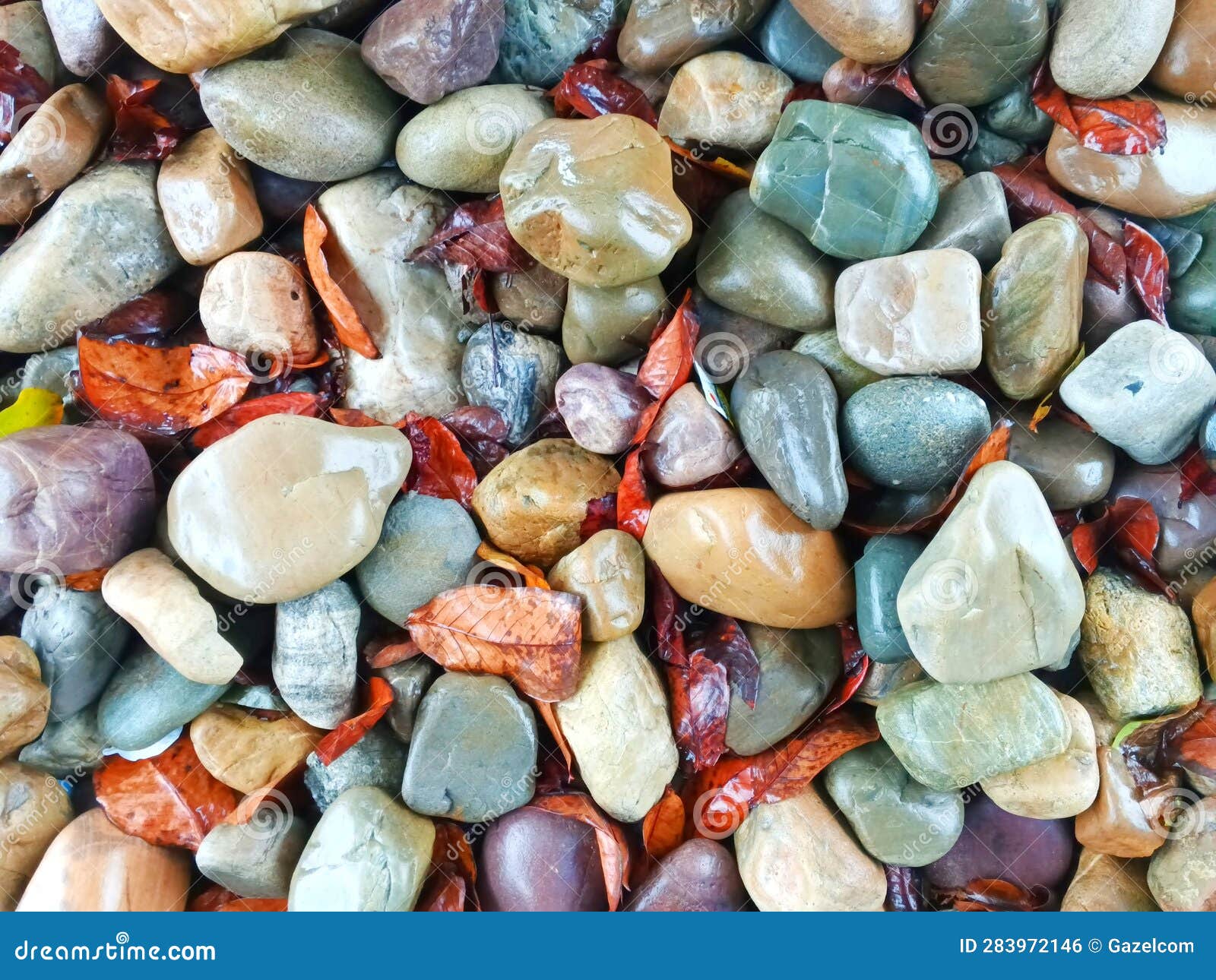 Background Image of Wet Rocks and Dry Leaves. Stock Photo - Image of ...