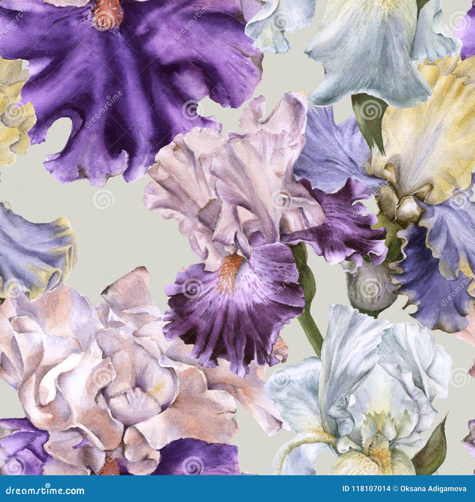 Background with Iris. Seamless Pattern Stock Illustration ...