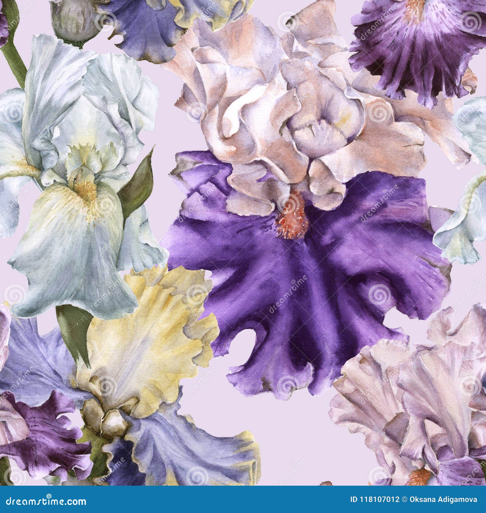 Background with Iris. Seamless Pattern Stock Illustration ...