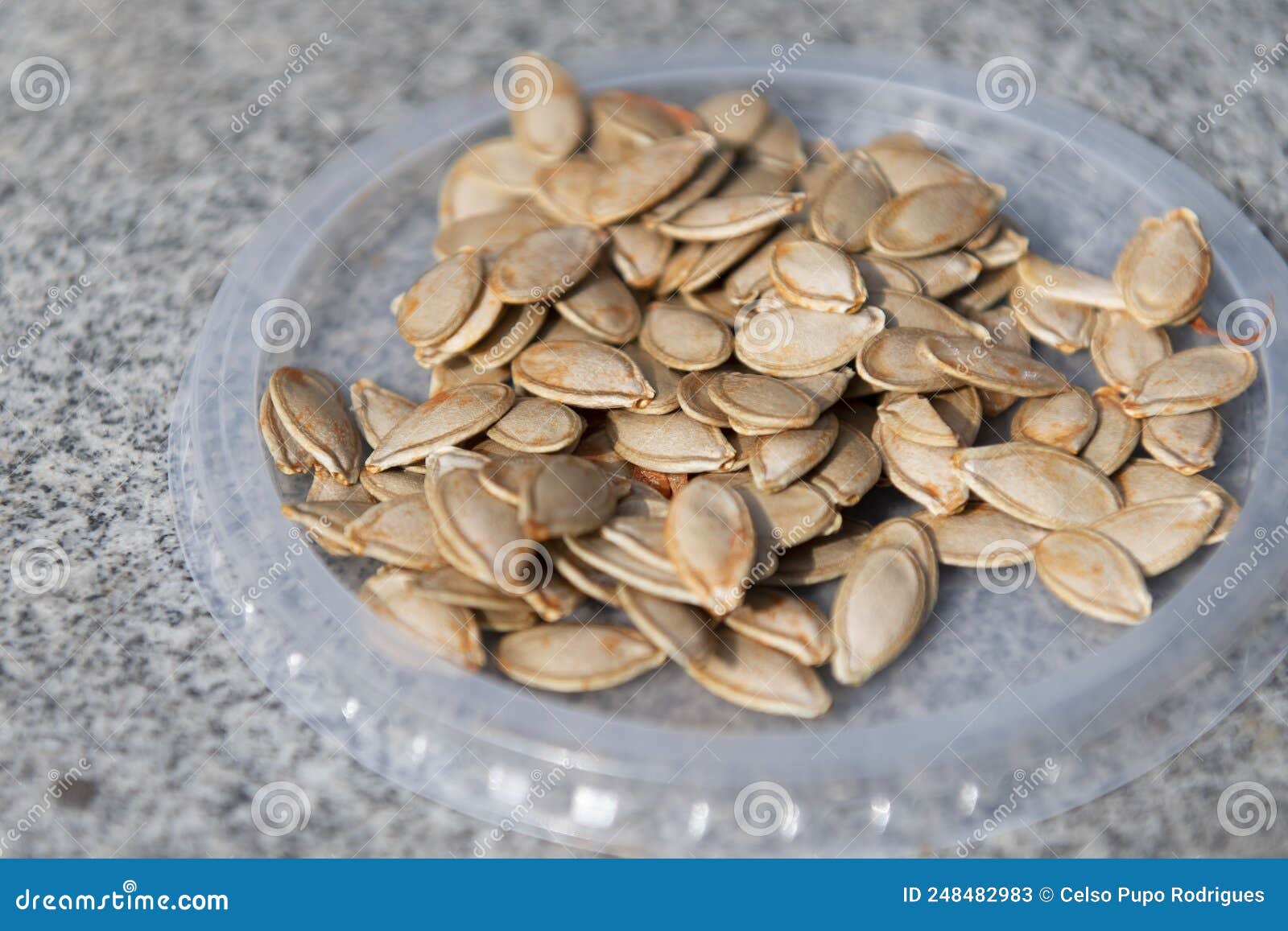Background of Isolated Peeled Pumpkin Seed Kernel in the Sun Stock ...