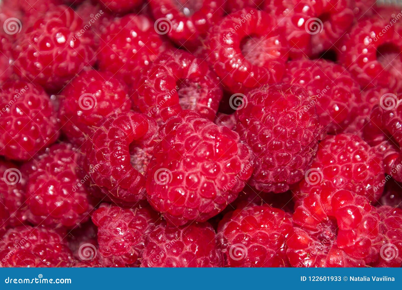 Background of Juicy Red Raspberry Berry Close-up Stock Image - Image of ...