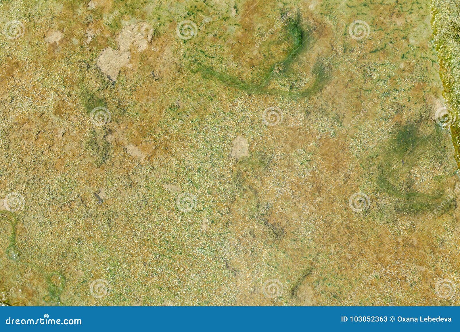 Green Ooze Waving on the River Flow Stock Image - Image of digger ...