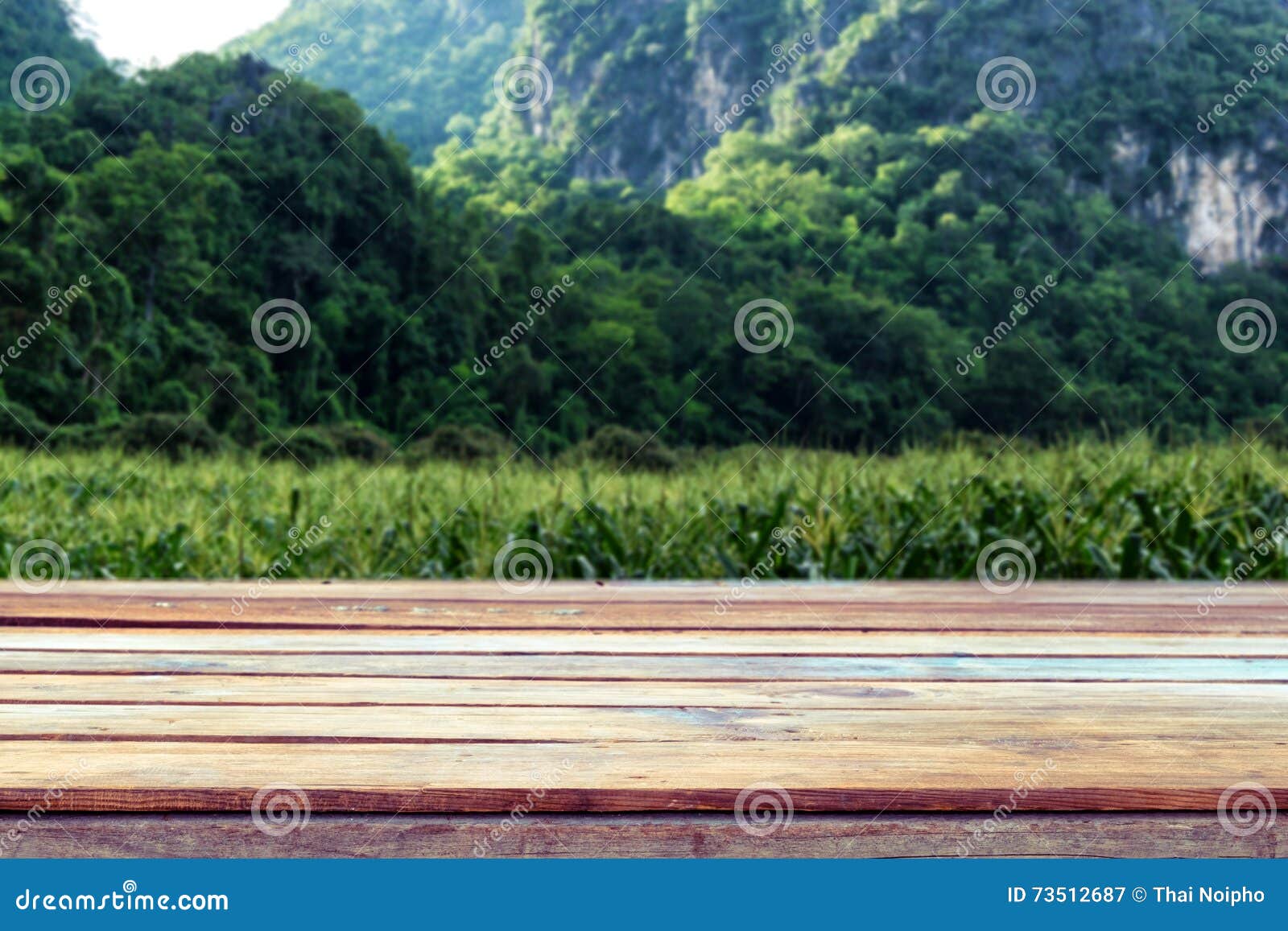 Background of Landscape of Trees and Dirty Table Stock Image - Image of ...