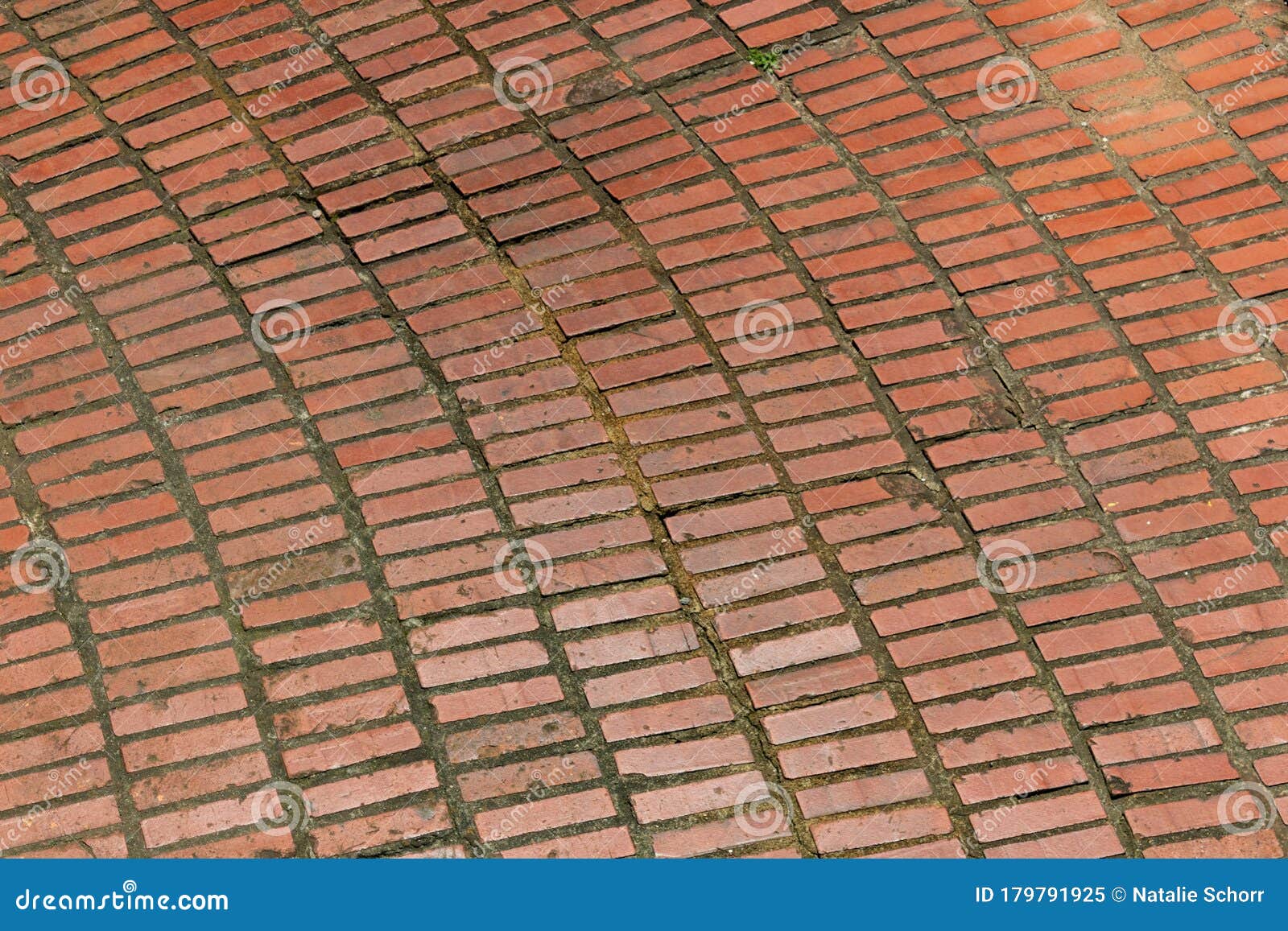 Red Brick Flooring. Top View Of Red Bricks Paving Stones Footpath On A ...