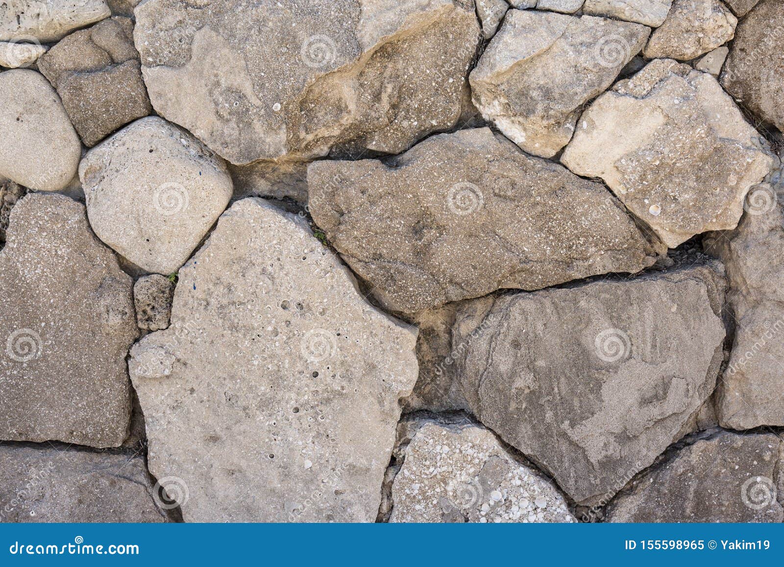 Stone Formed from Seashells Stock Image - Image of creativity, solid ...