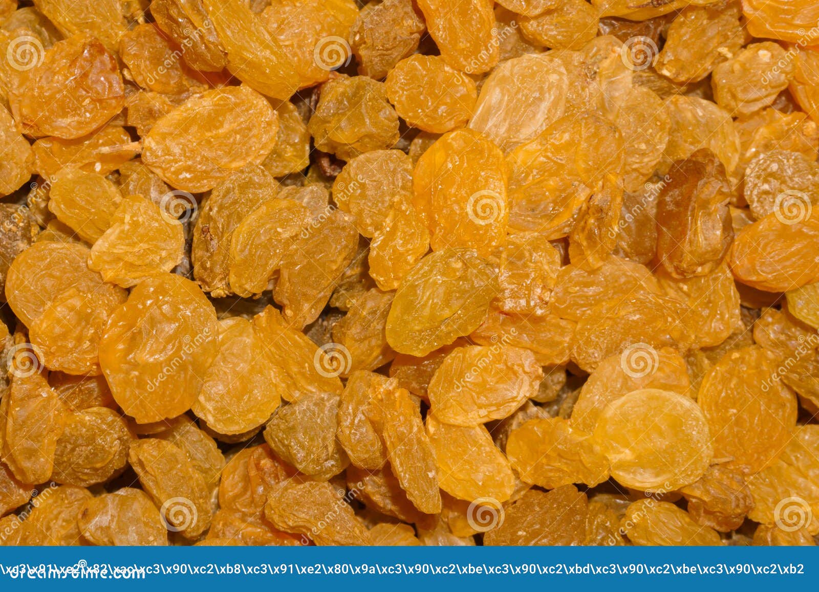 Background - Golden Raisins Stock Photo - Image of wrinkled, diet ...