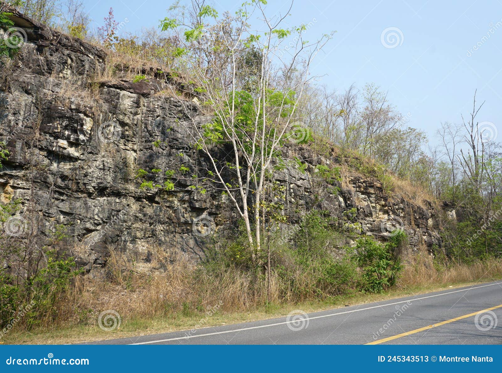 Background Layer Textures and Cracks in Metamorphic Rocks on the Cliffs ...