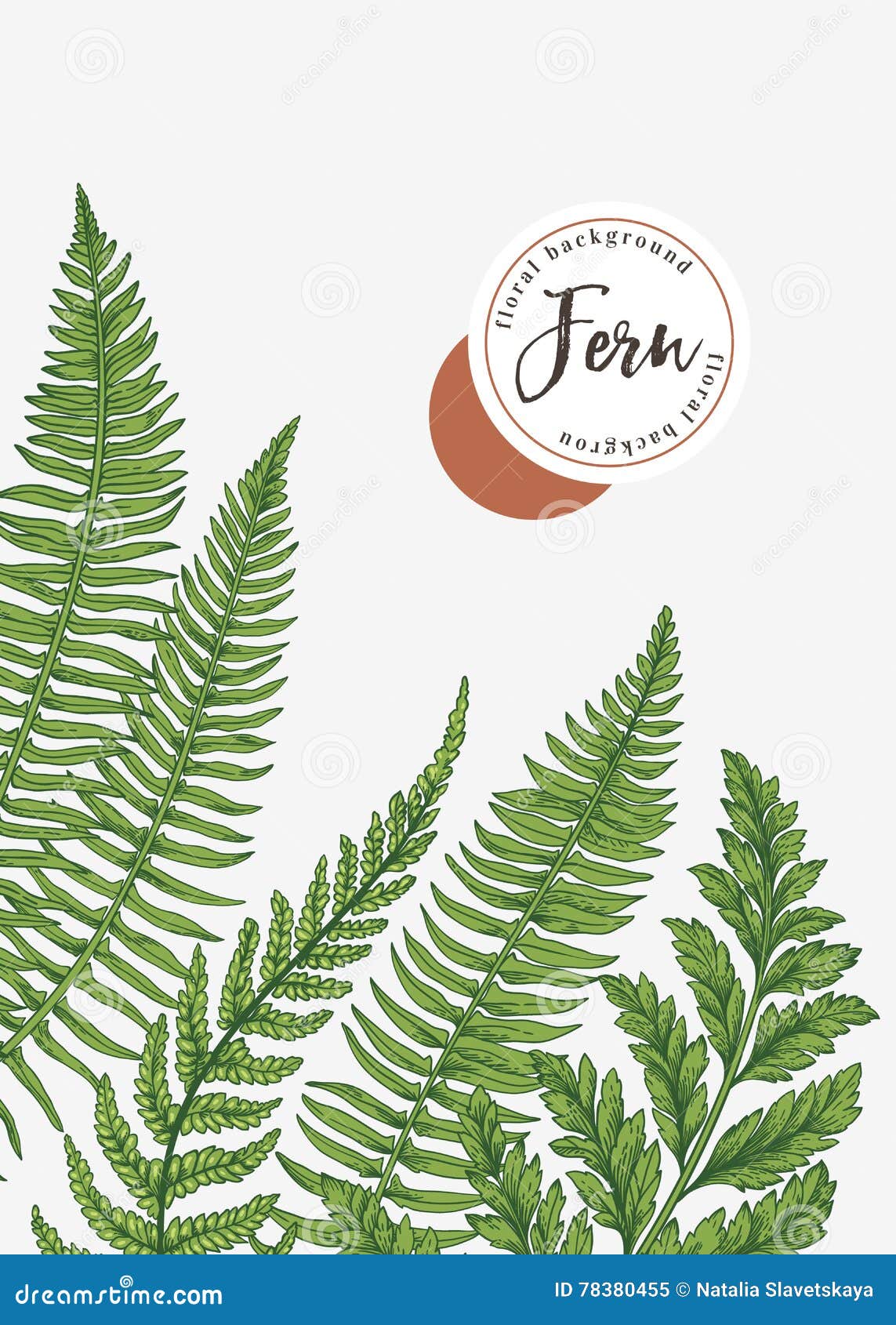 Fern Leaves Cartoon Vector | CartoonDealer.com #65290919