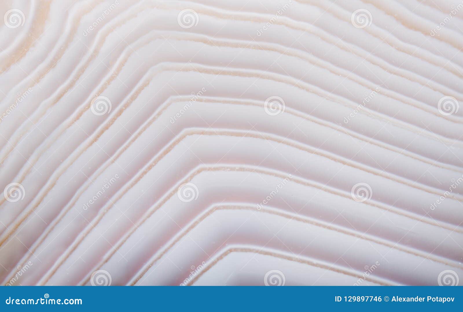 Light Agate Lines Texture Extreme Macro Stock Photo - Image of close ...