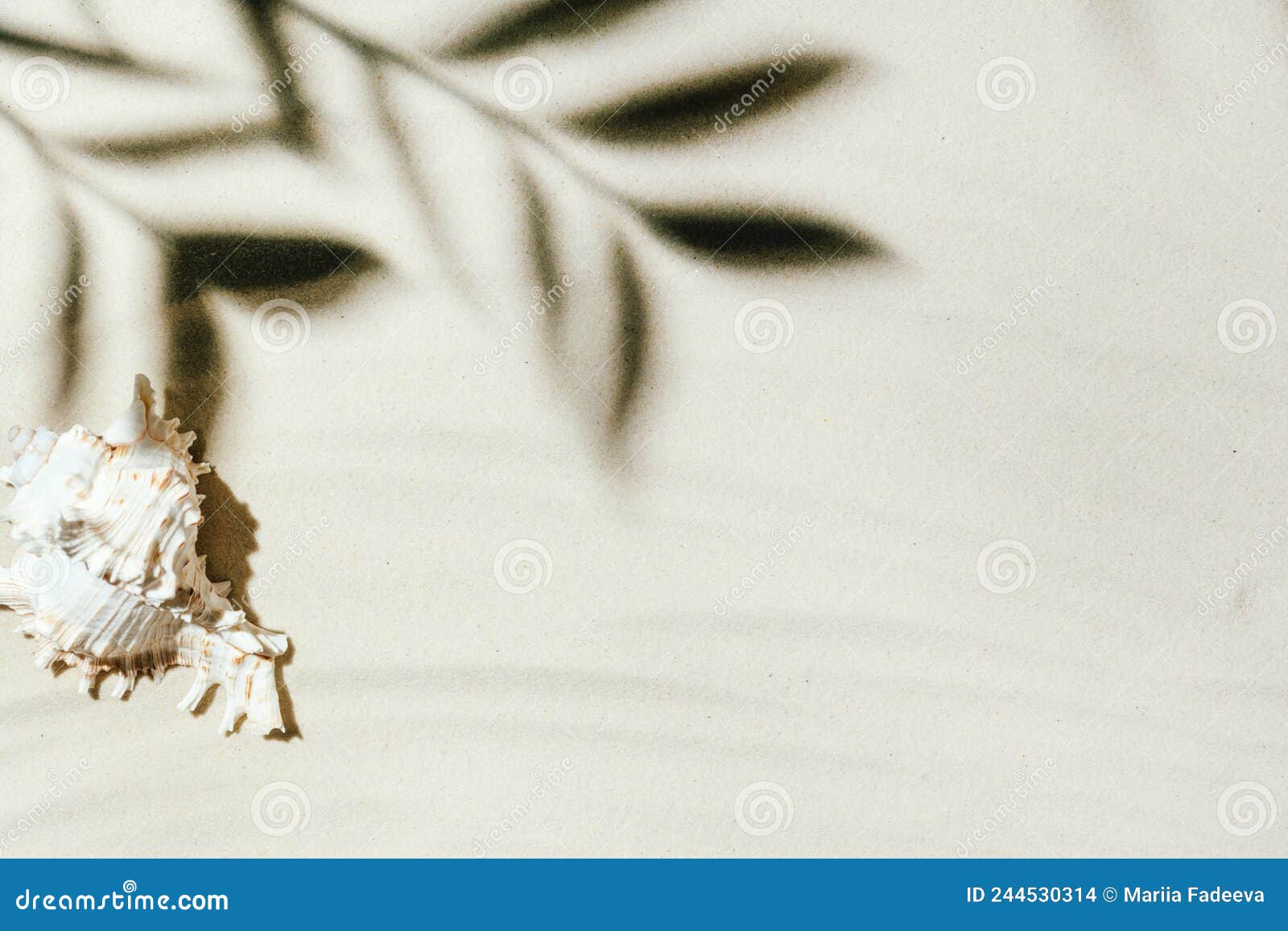 Background of Light Beach Sand with Space for Text. Stock Photo - Image ...