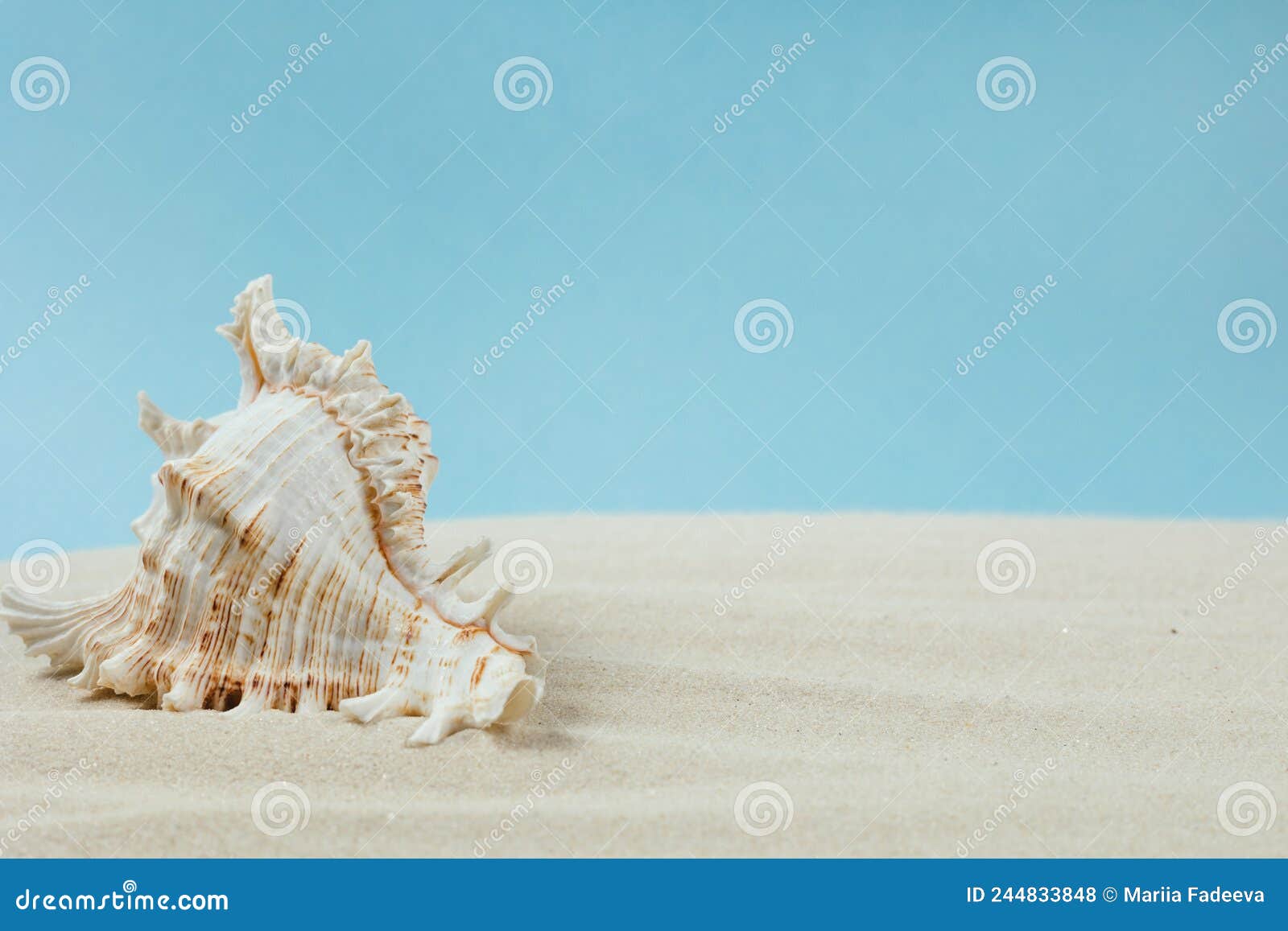 Background of Light Beach Sand with Space for Text. Stock Photo - Image ...