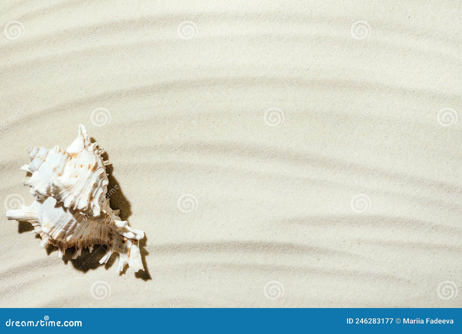 Background of Light Beach Sand with Space for Text. Stock Image - Image ...