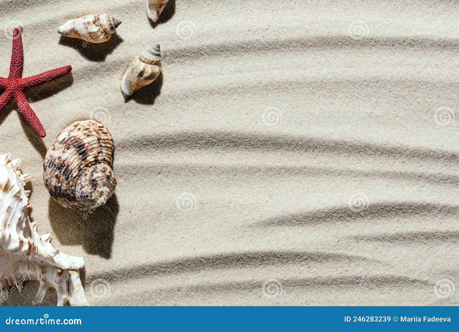 Background of Light Beach Sand with Space for Text. Stock Image - Image ...