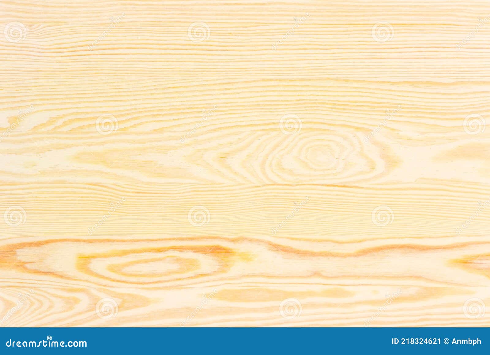 Background of the Light Colored Pine Plank, Close-up Stock Image ...