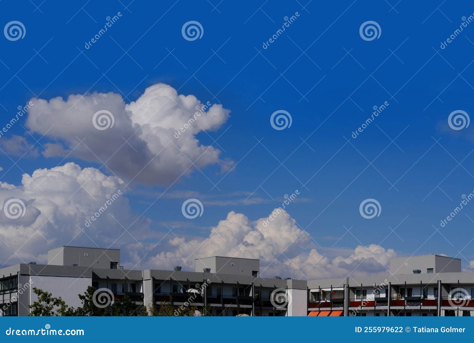 Background Light Sky Gradient, Close-up of Beautiful White Fluffy ...