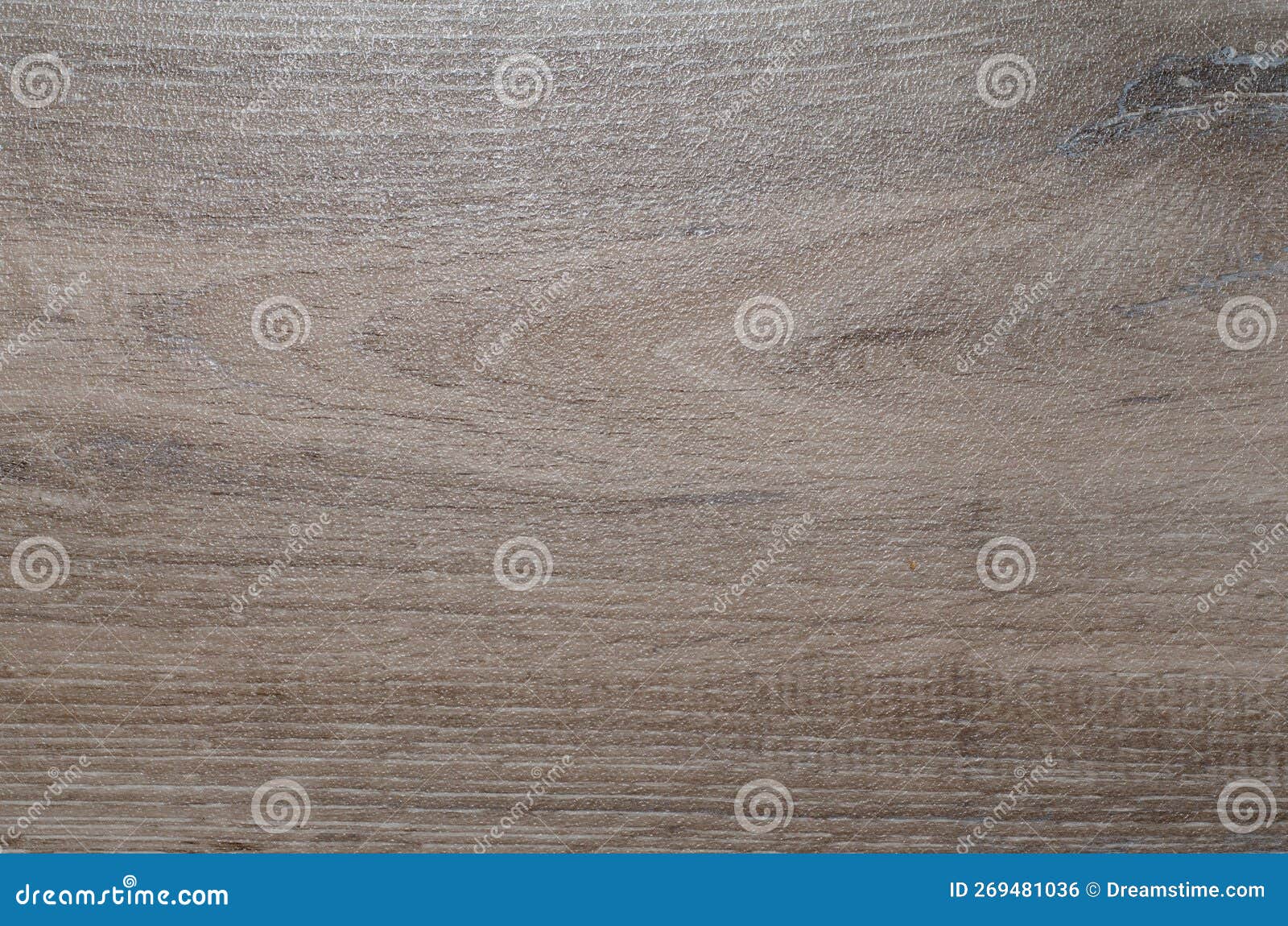 Background Light Tree. Texture for the Designer Stock Photo - Image of ...