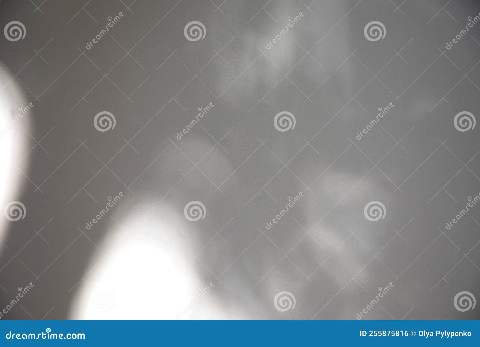 Background, Light Wall in Decorative Plaster with Shadows from Sunlight ...