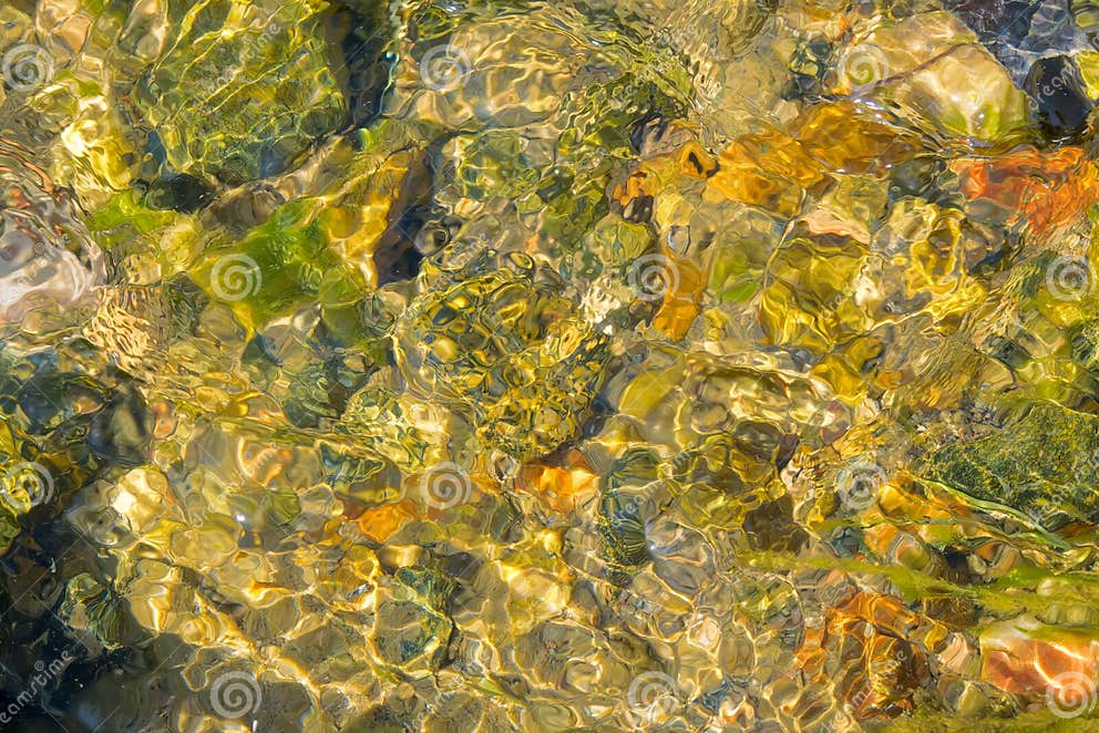 Limpid stream stock photo. Image of pebble, water, flow - 183477902